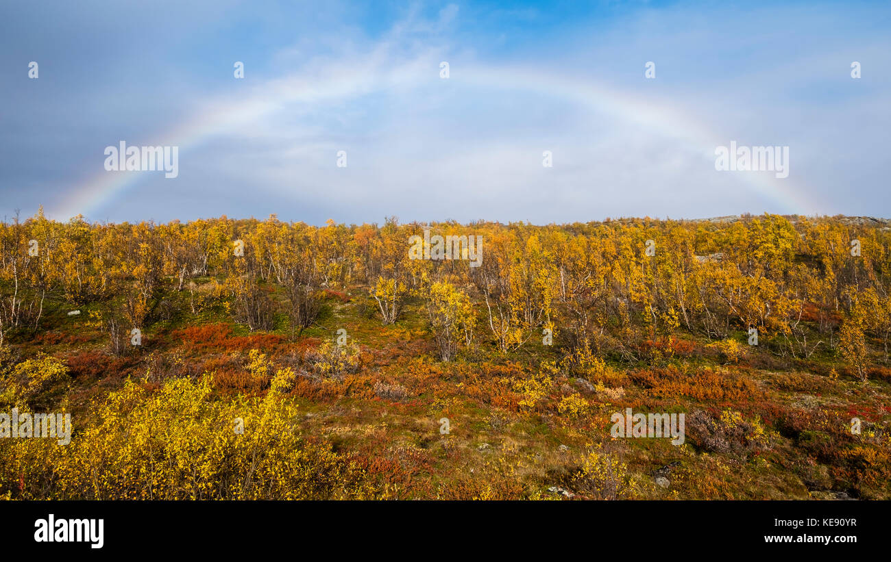 Autumnal landscape with rainbow, Norrbottens, Norrbottens län, Laponia ...
