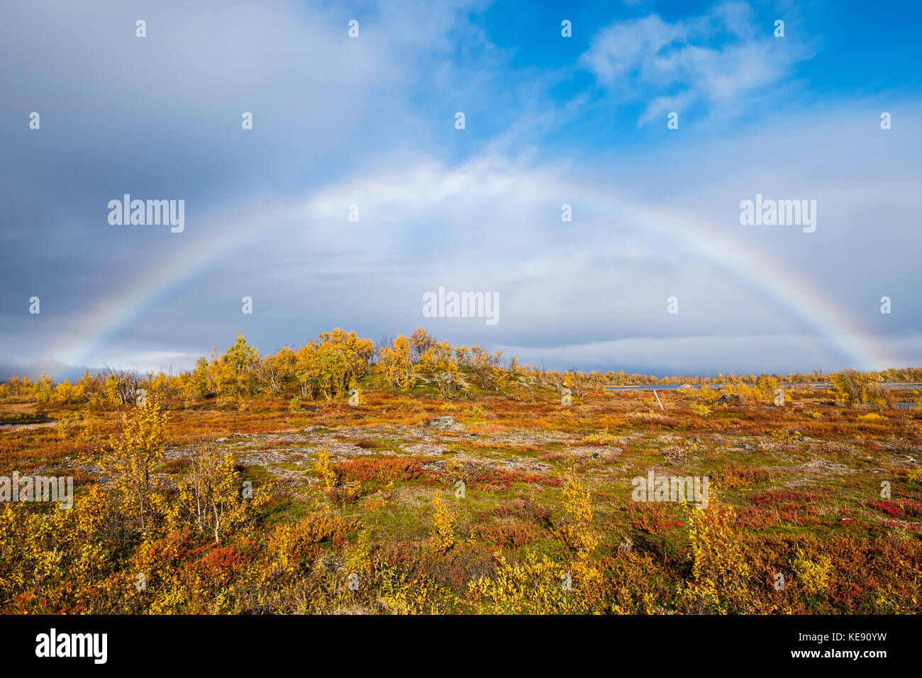 Autumnal landscape with rainbow, Norrbottens, Norrbottens län, Laponia ...