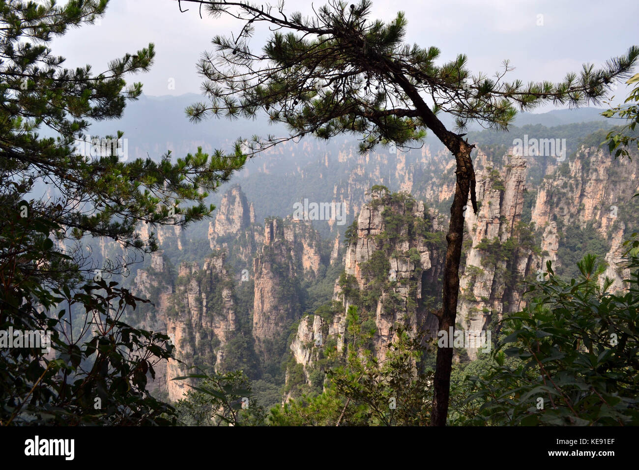 Rock formations around Wulingyuan Scenic Area. What a dramatic ...