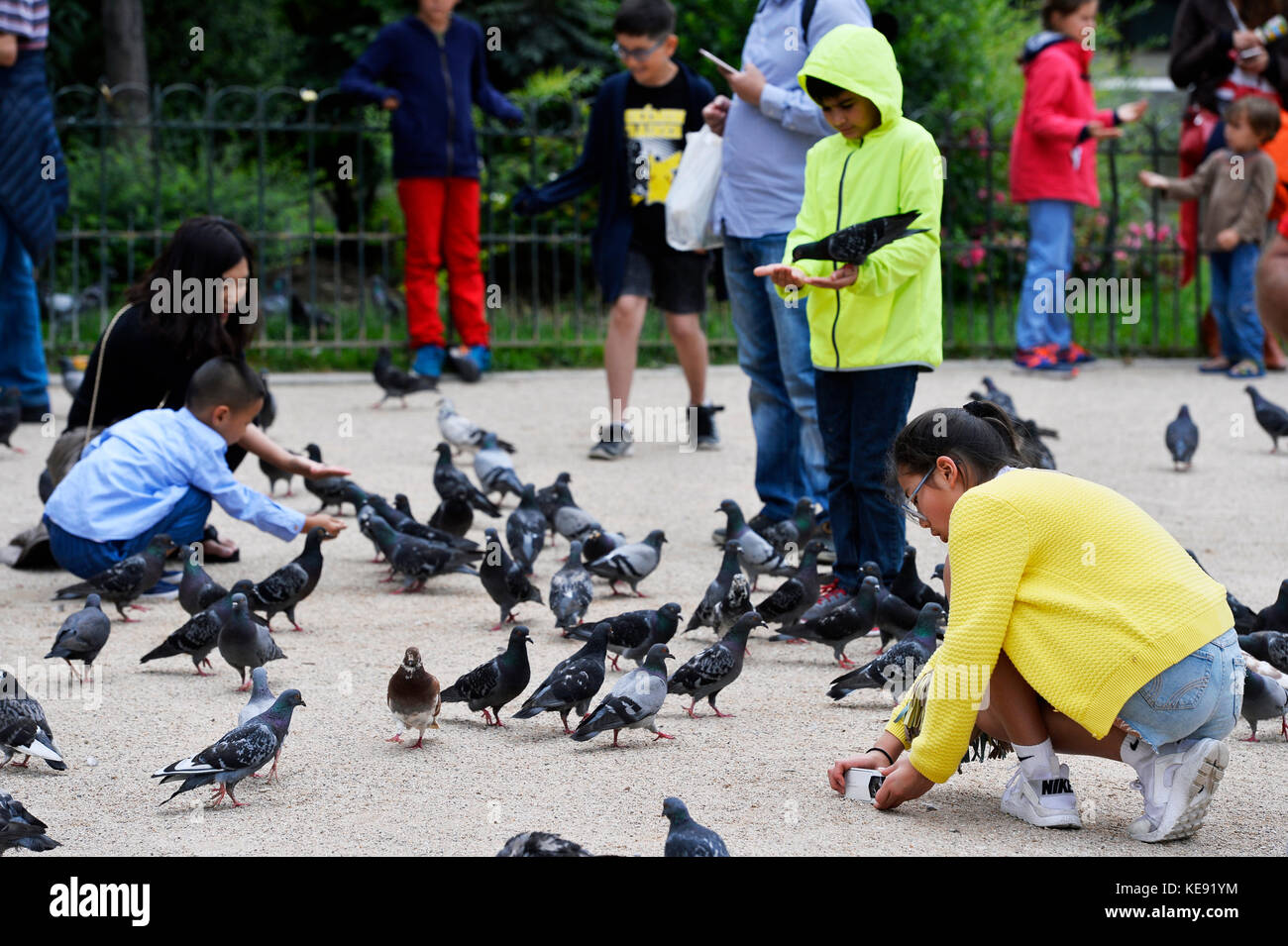 Tourists feeding pigeons, Notre Dame, Paris - France Stock Photo - Alamy