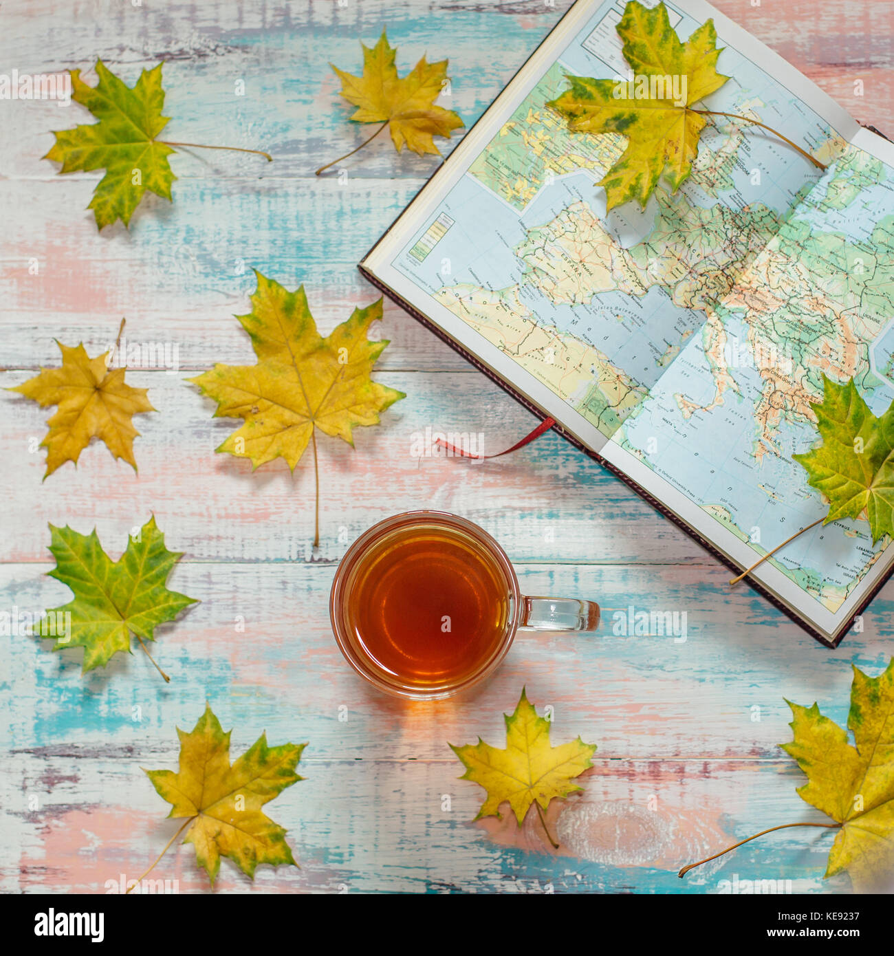 Top view on the cup of tea, maple leaves and world map on the wooden ...