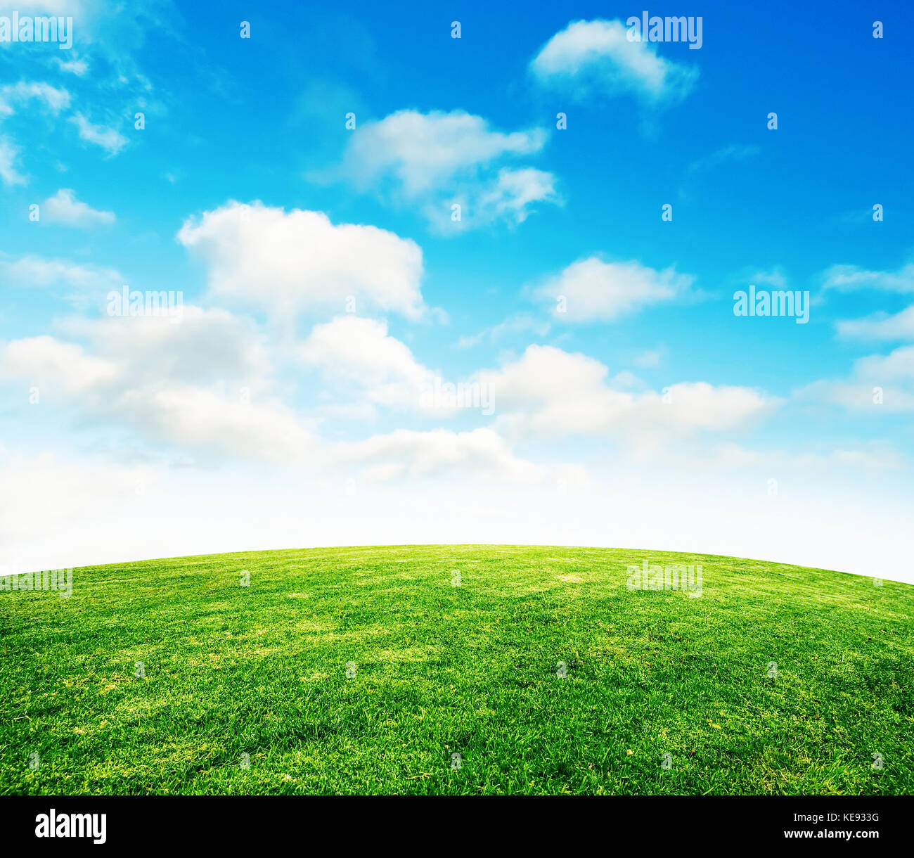 summer grass lawn with sky Stock Photo - Alamy