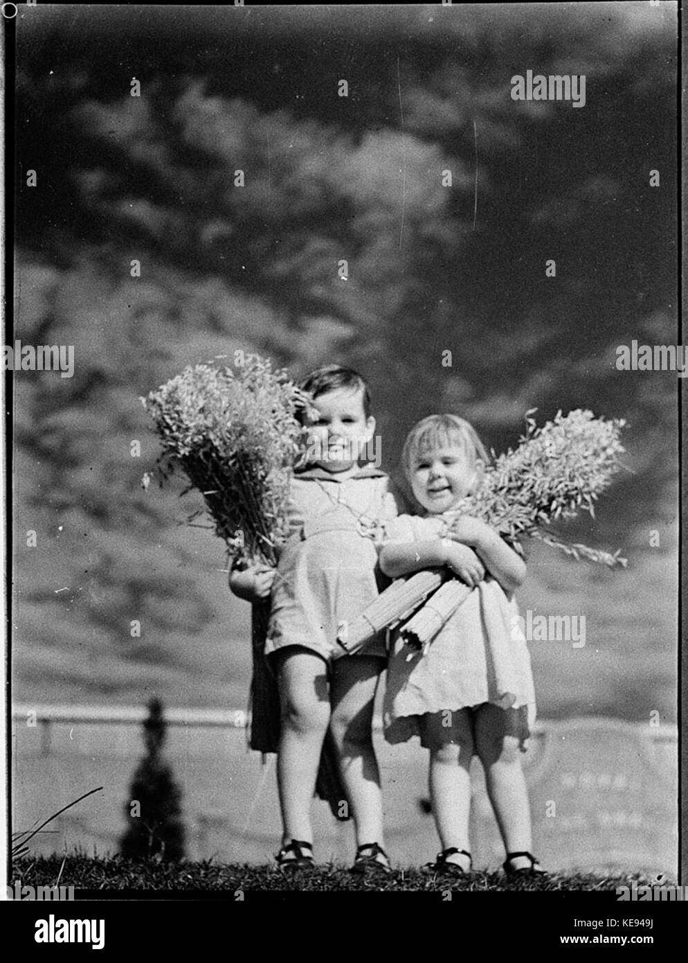 36226 Preparations Royal Easter Show Stock Photo - Alamy