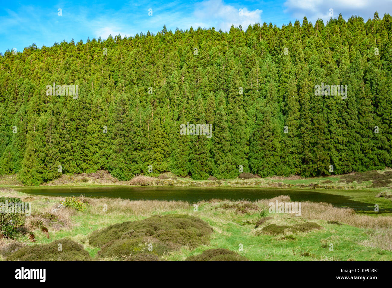 Lagoa do Negro (Black Lagoon) and forest in Terceira Island, Azores ...