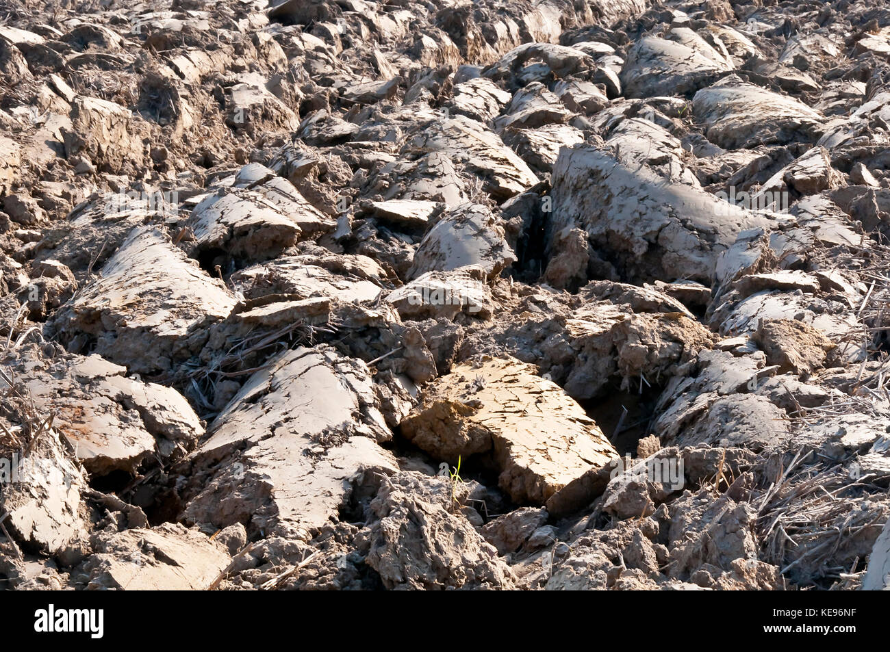 Tillage soil pattern hi-res stock photography and images - Alamy