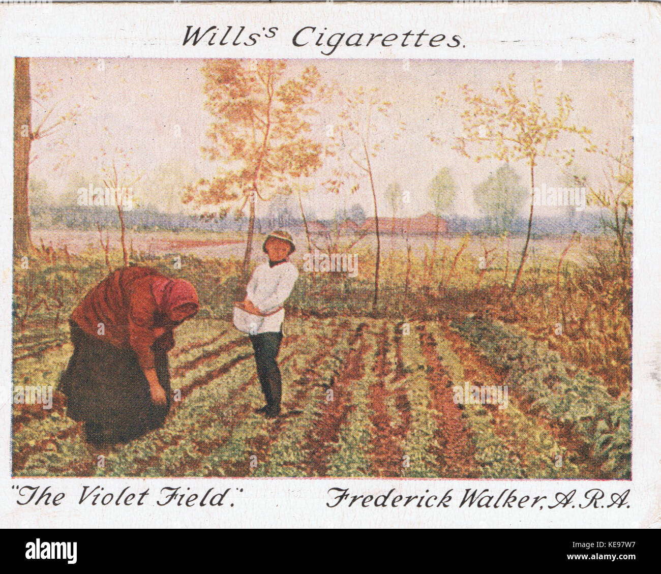 Violet walker hi-res stock photography and images - Alamy