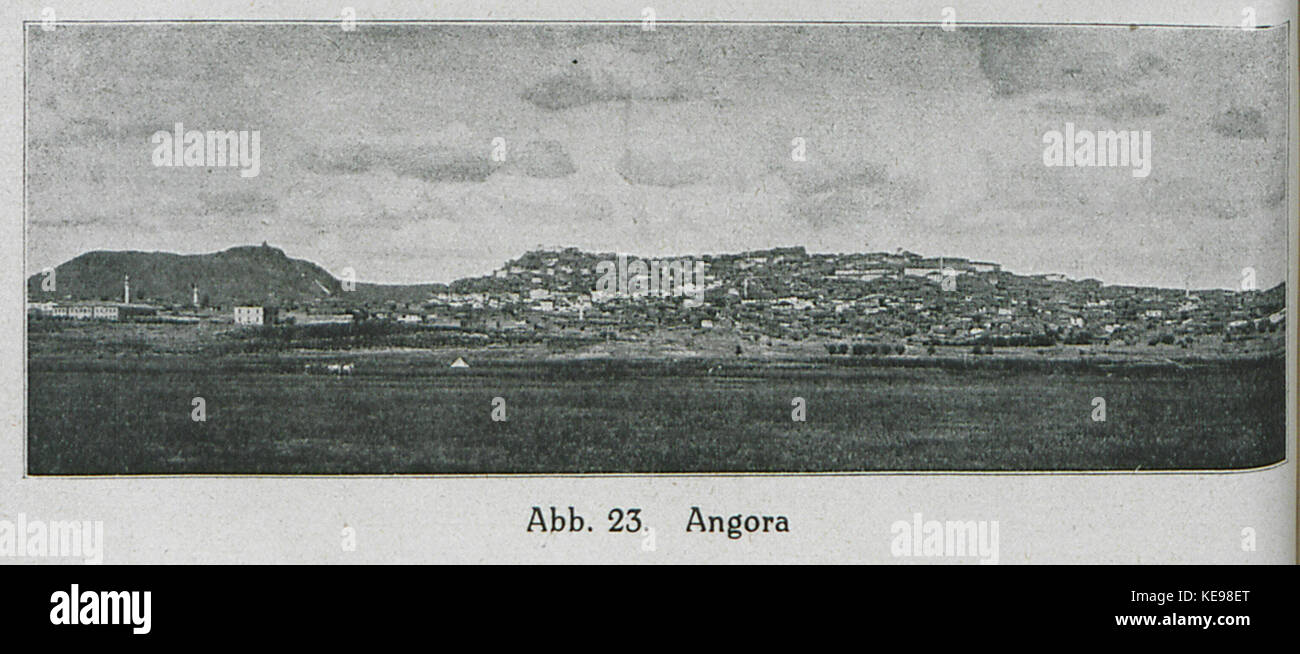 Angora Banse Ewald 1919 Stock Photo - Alamy