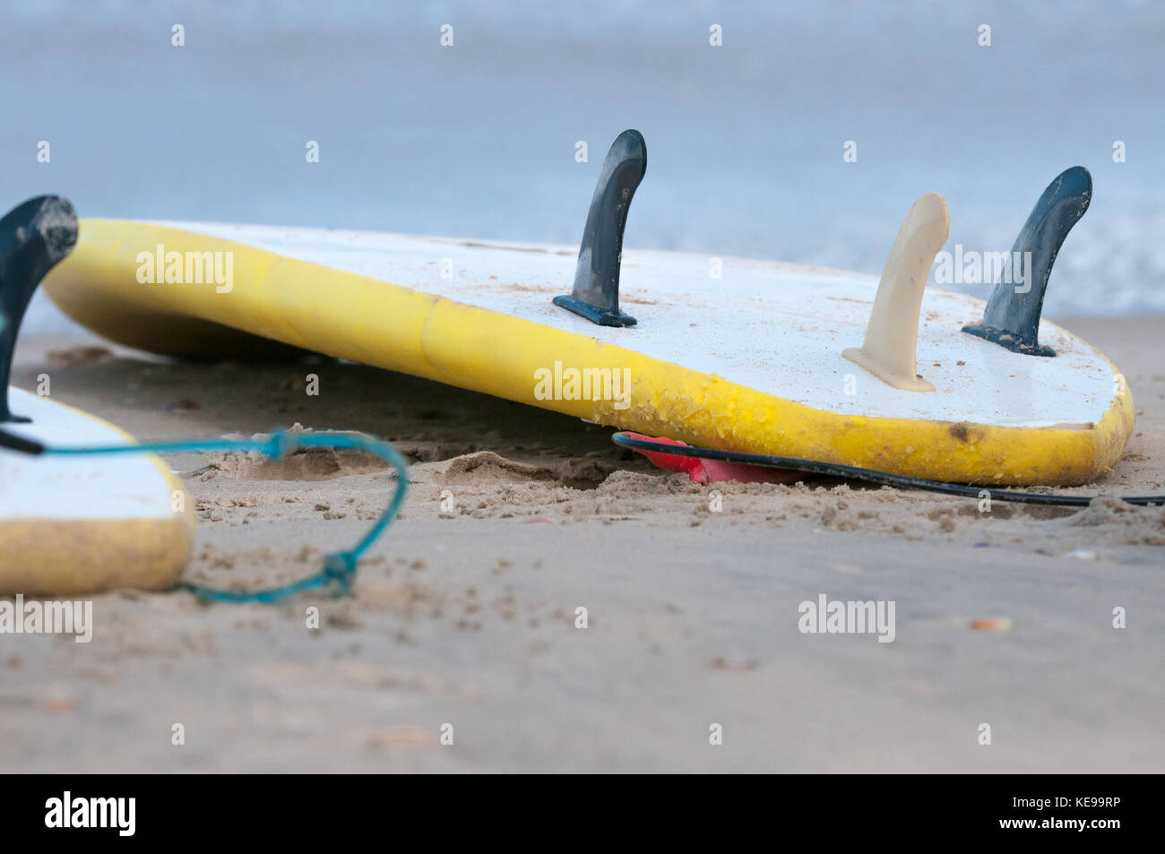 surfboards close up on the sea waterfront Stock Photo - Alamy