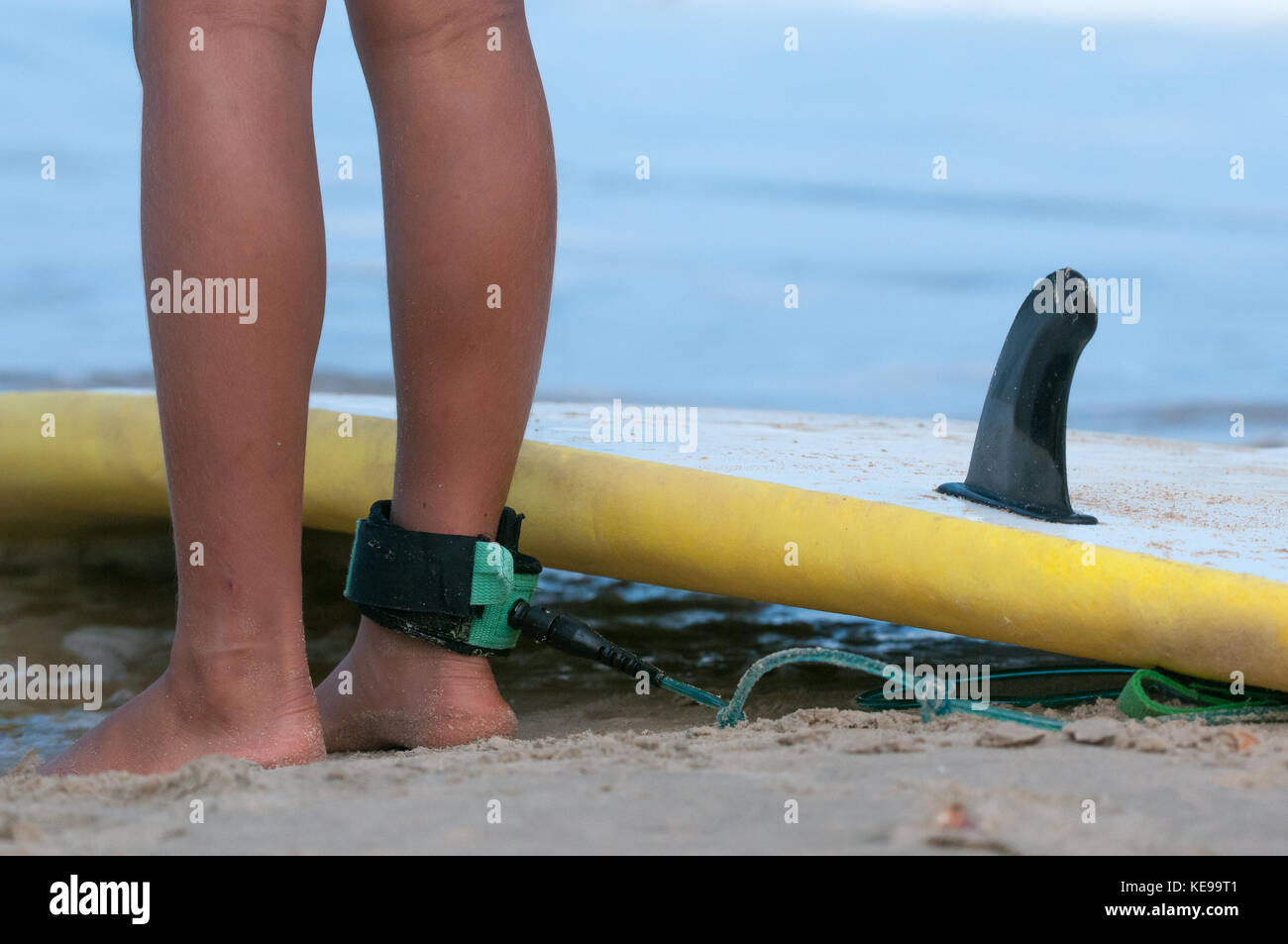 surfboards close up on the sea waterfront Stock Photo - Alamy