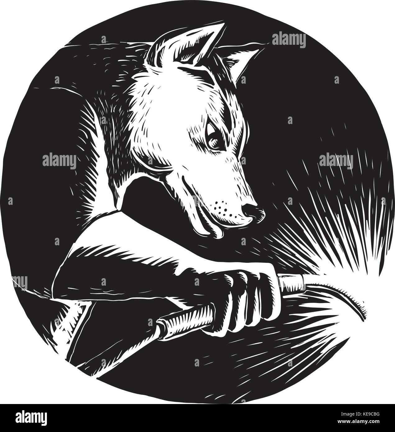 Scratchboard style illustration of a Dingo Dog wolf Welder welding ...