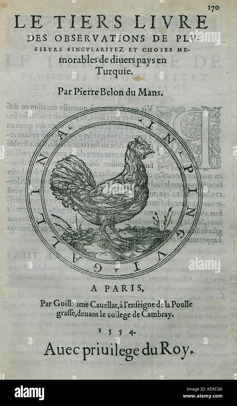 The third volume hi-res stock photography and images - Alamy