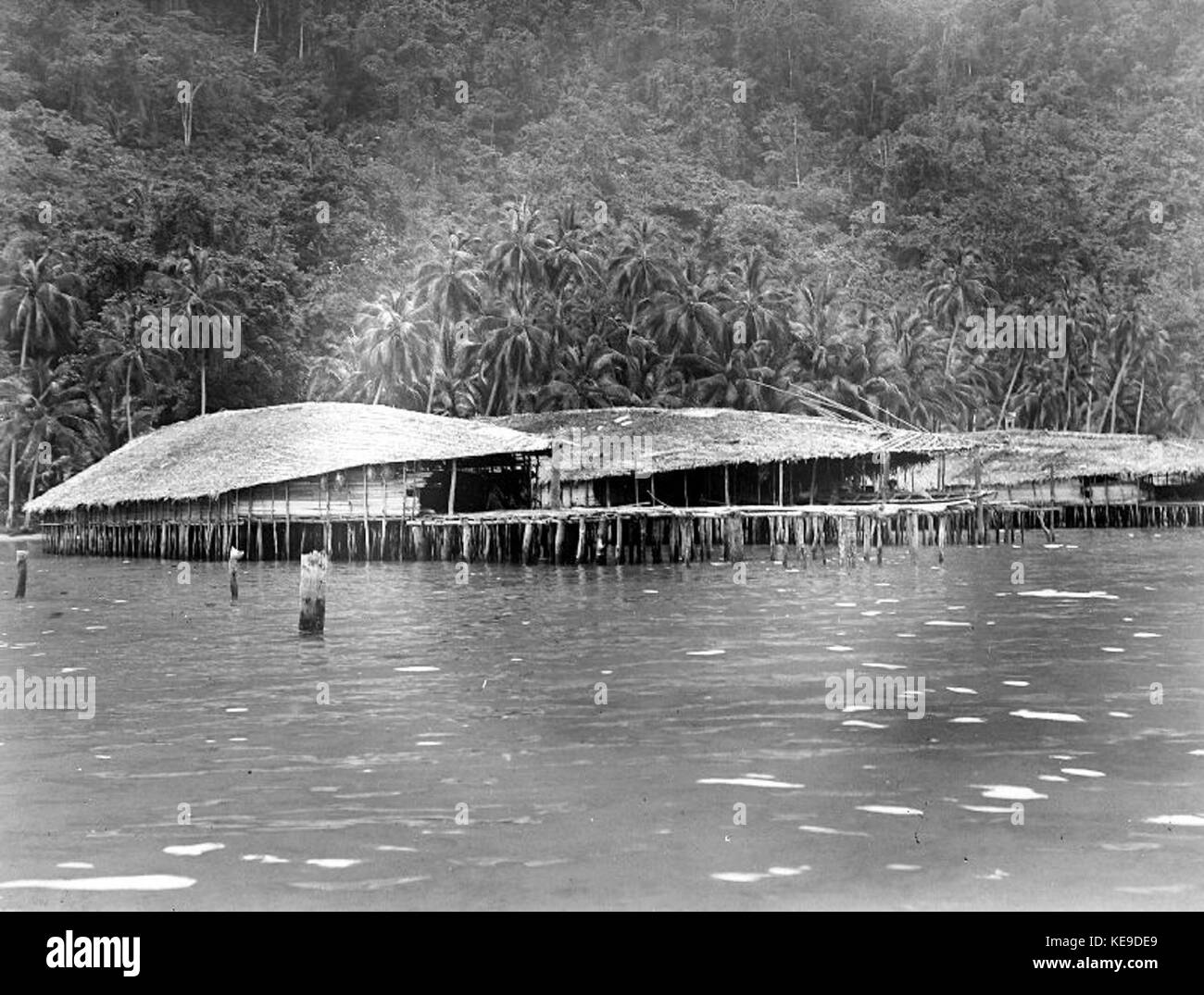Pile houses with turtle shaped roofs Collectie stichting Nationaal ...