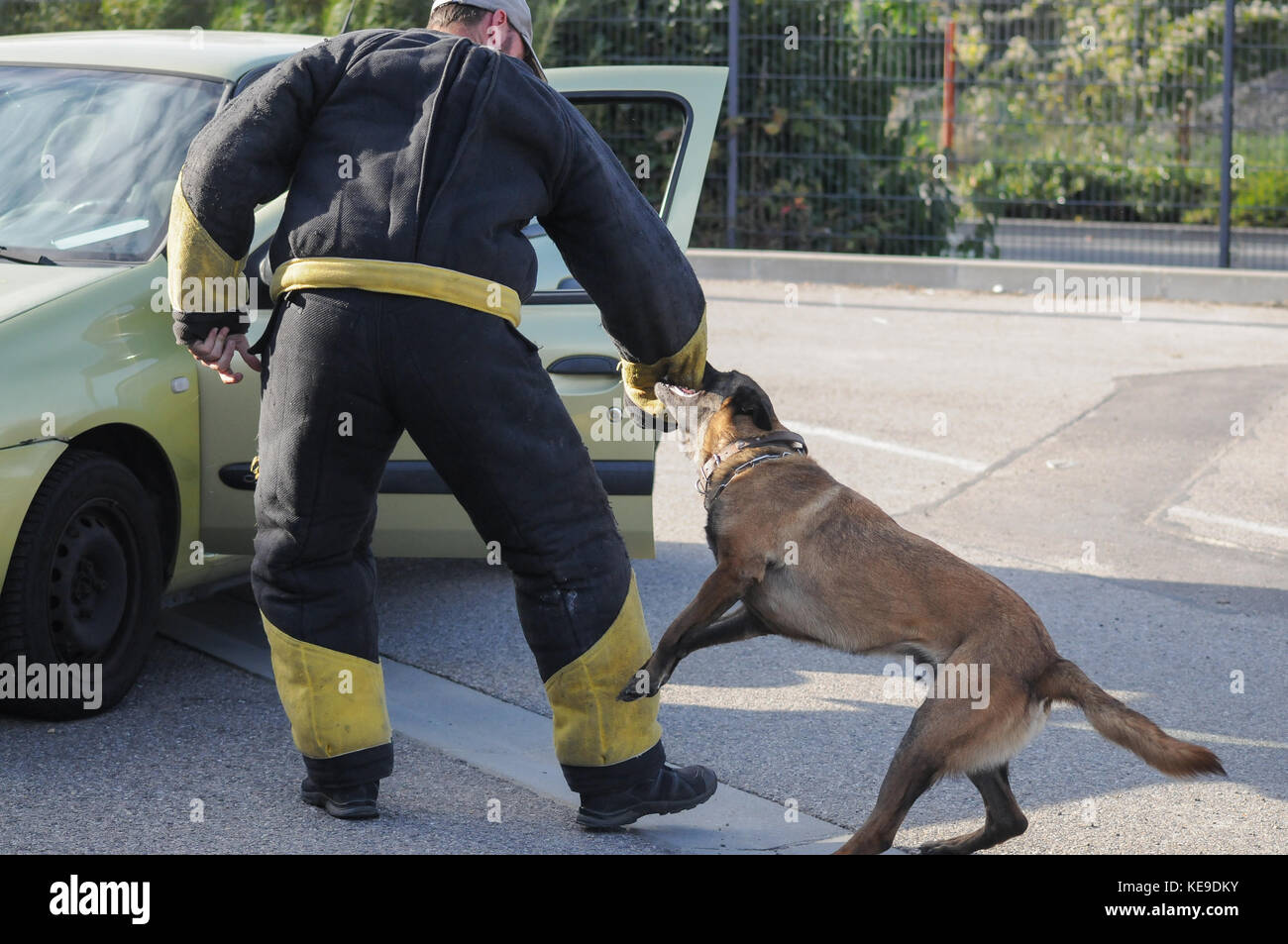 Police dogs launchers of French National Gendarmery take part in a ...