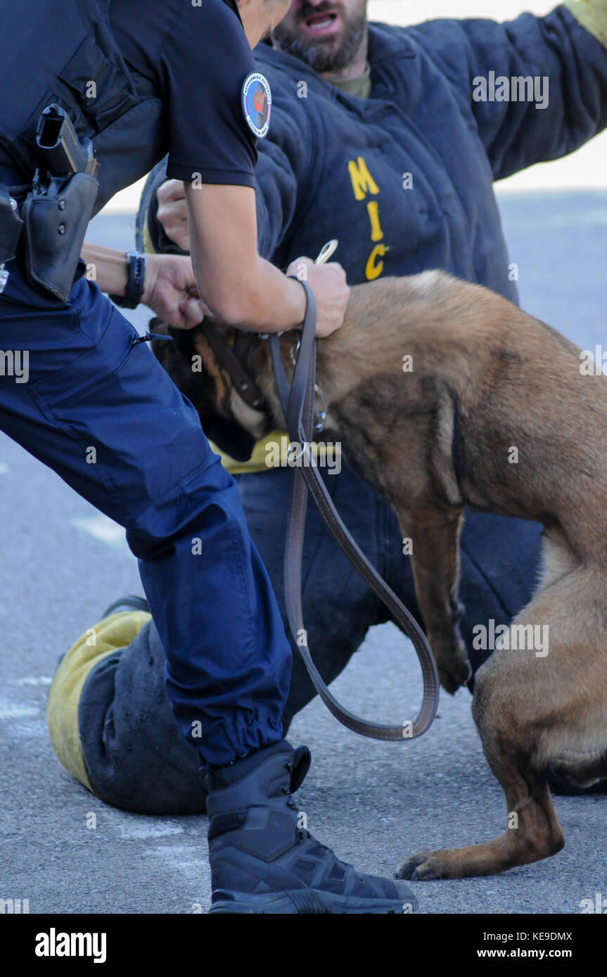 Police dogs launchers of French National Gendarmery take part in a ...