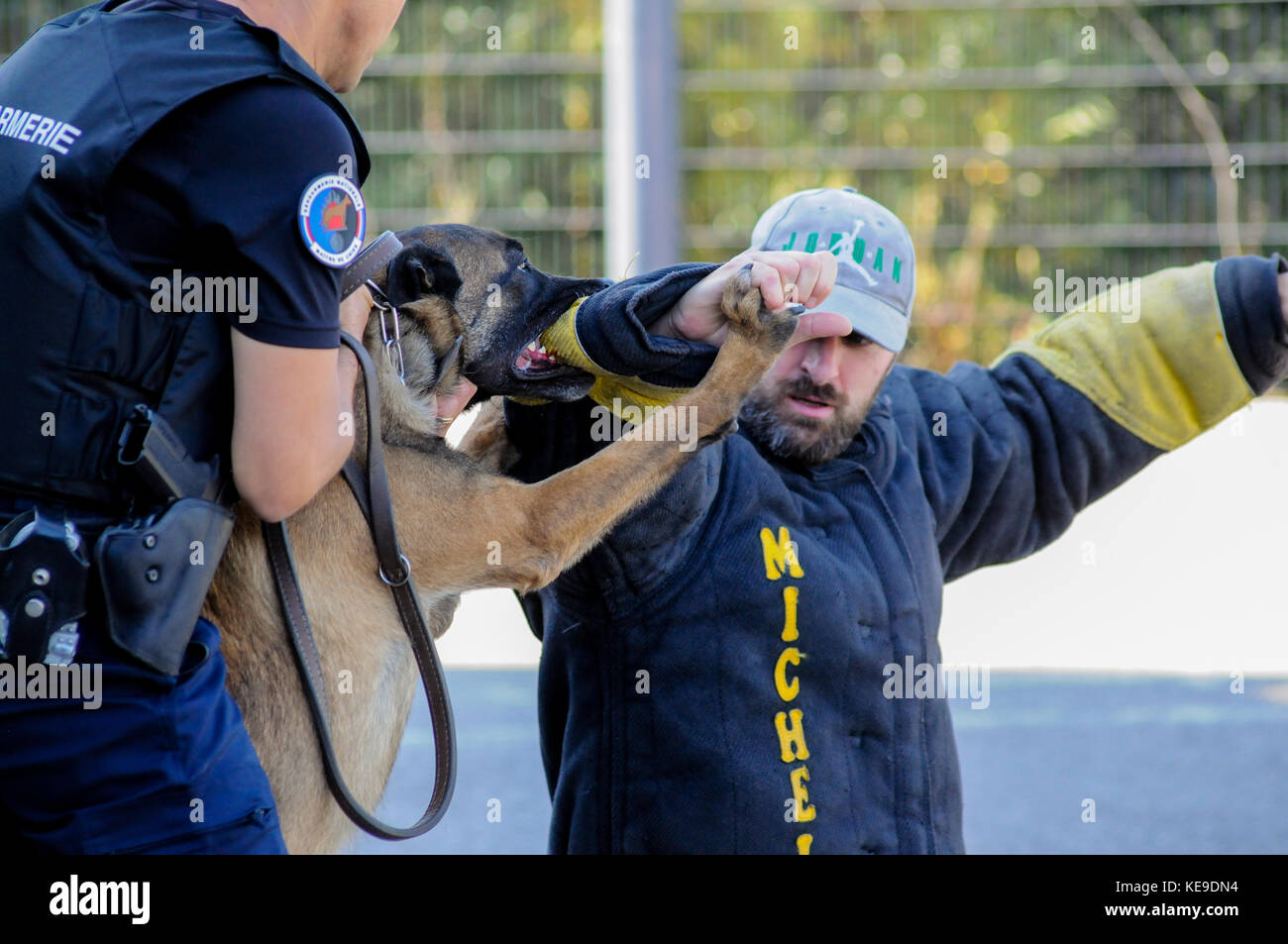 Police dogs launchers of French National Gendarmery take part in a ...