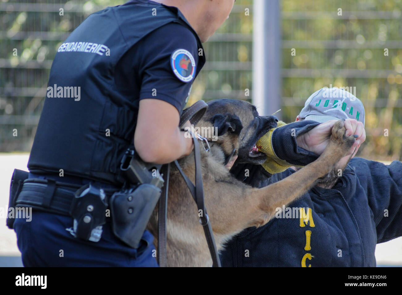 Police dogs launchers of French National Gendarmery take part in a ...