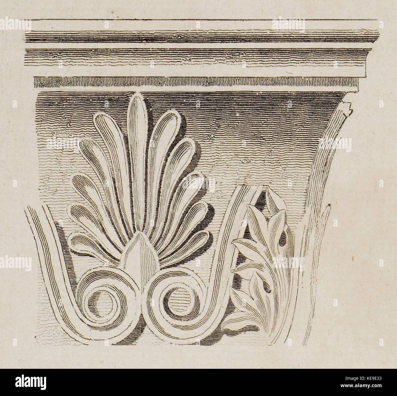 Architectural feature of ancient column Stuart James & Revett Nicholas ...