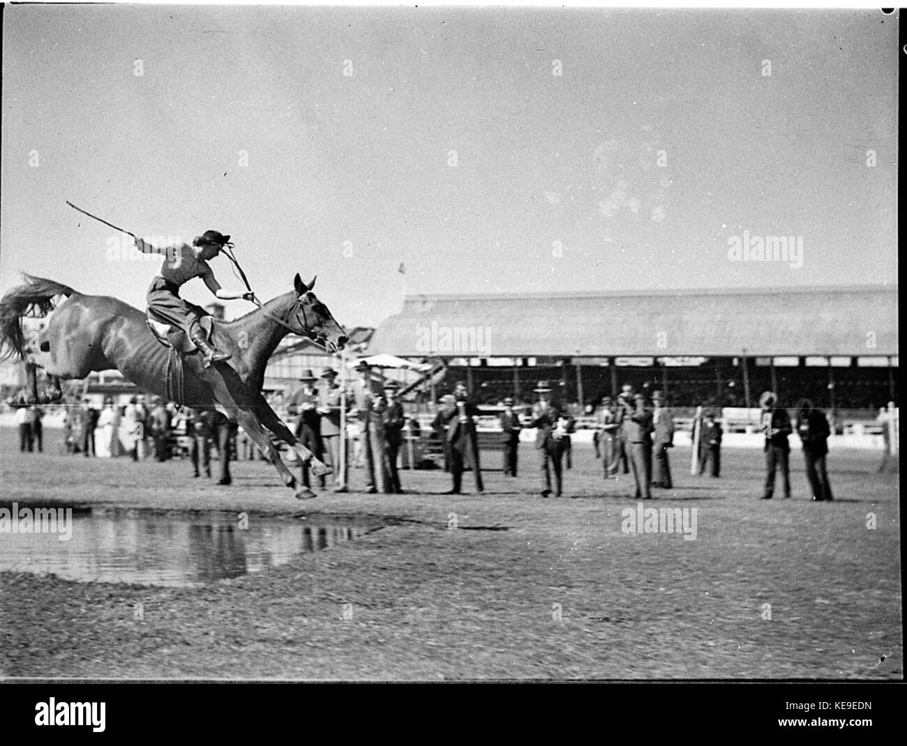 Show the drawing hi-res stock photography and images - Alamy