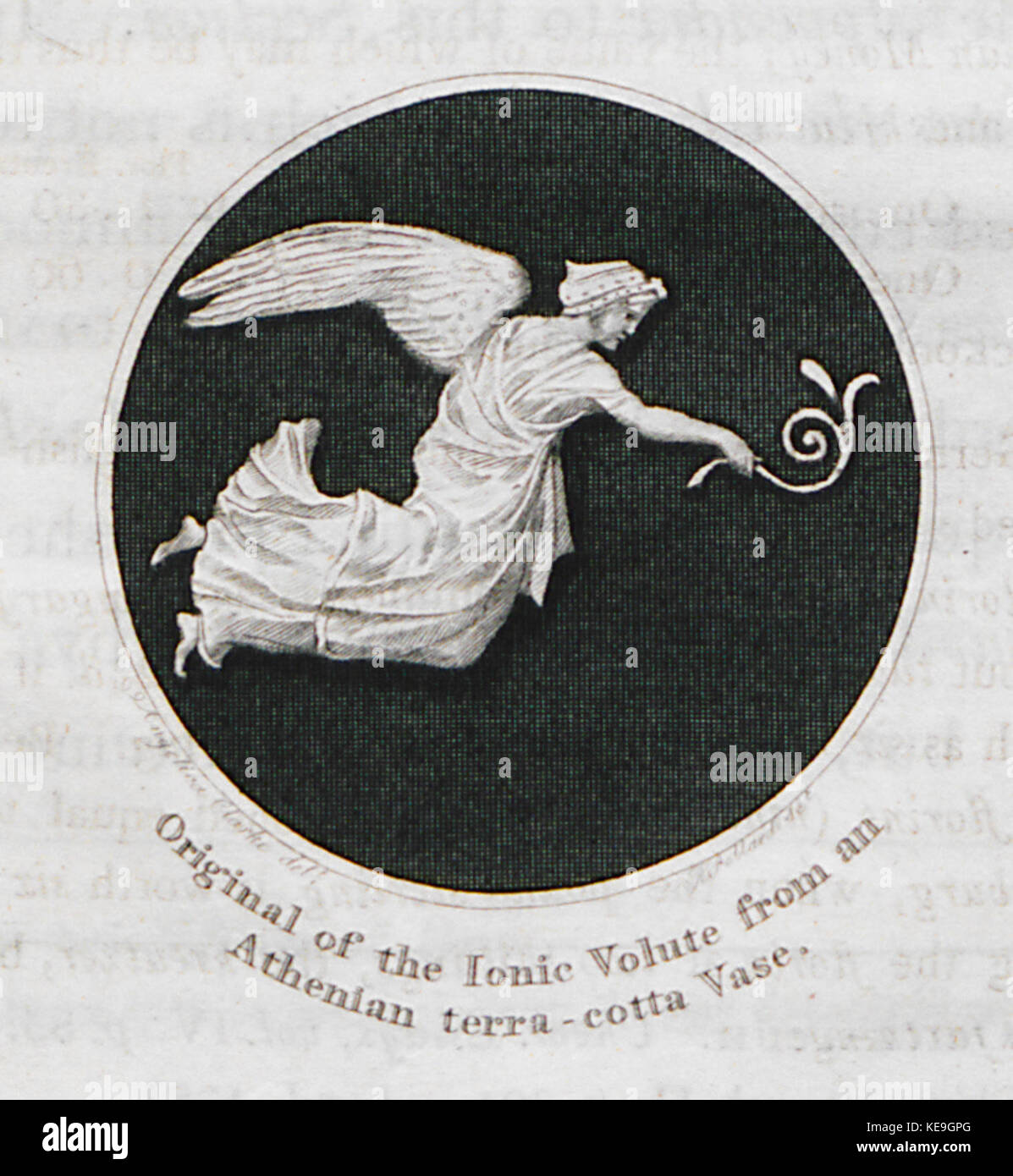 Ionic volute hi-res stock photography and images - Alamy