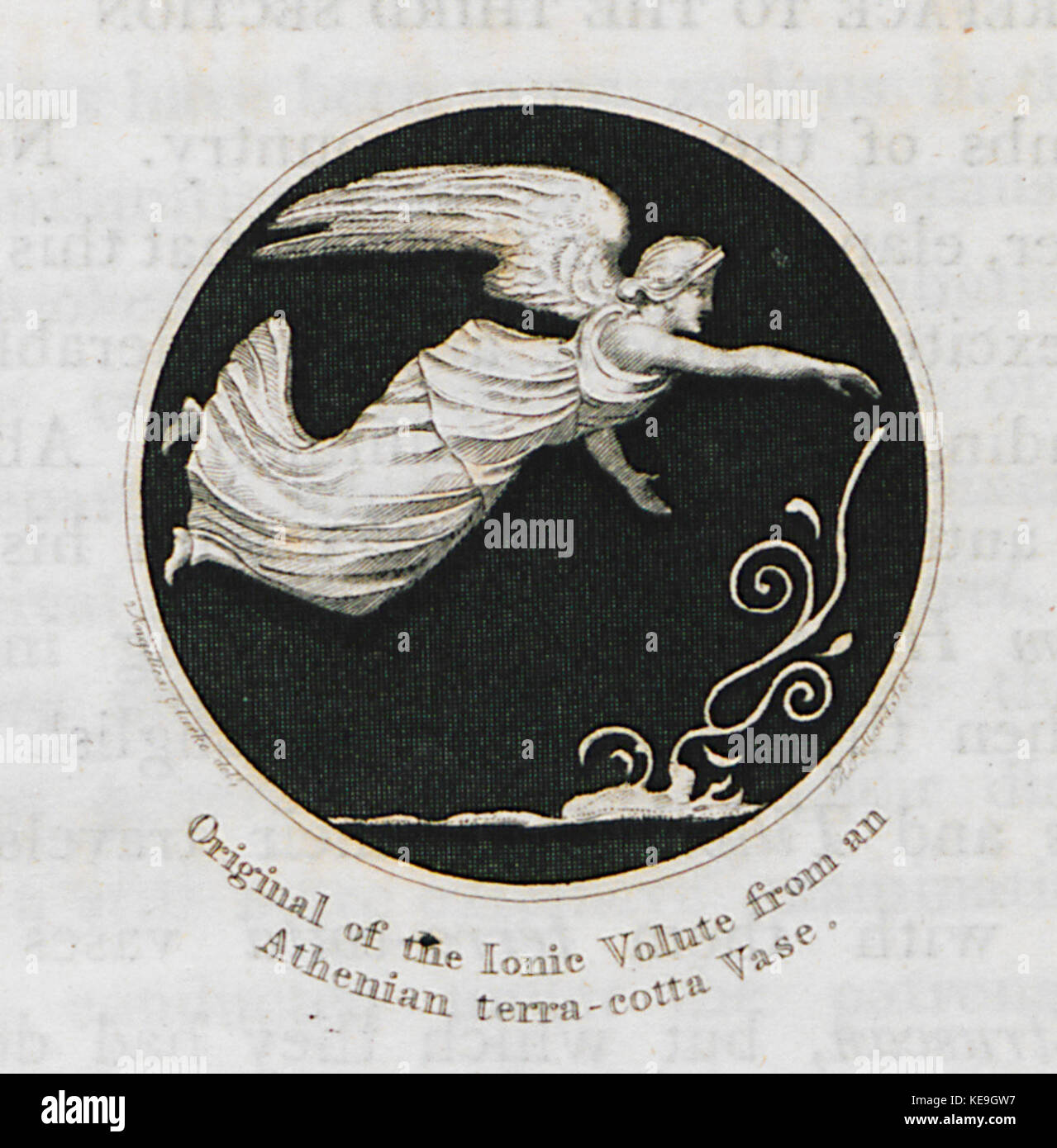 Ionic volute hi-res stock photography and images - Alamy