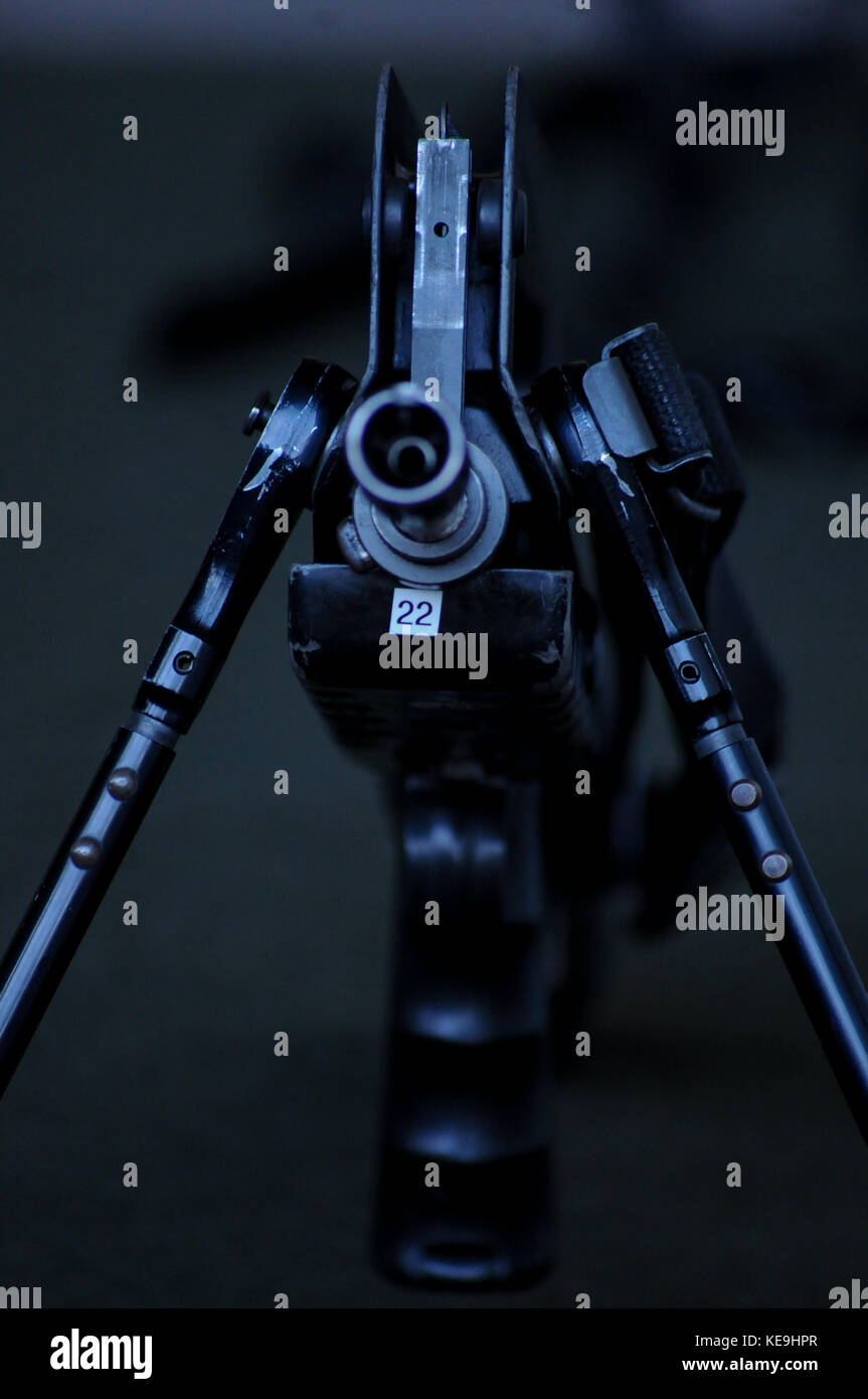 French gun FAMAS, Sathonay-Camp, France Stock Photo - Alamy