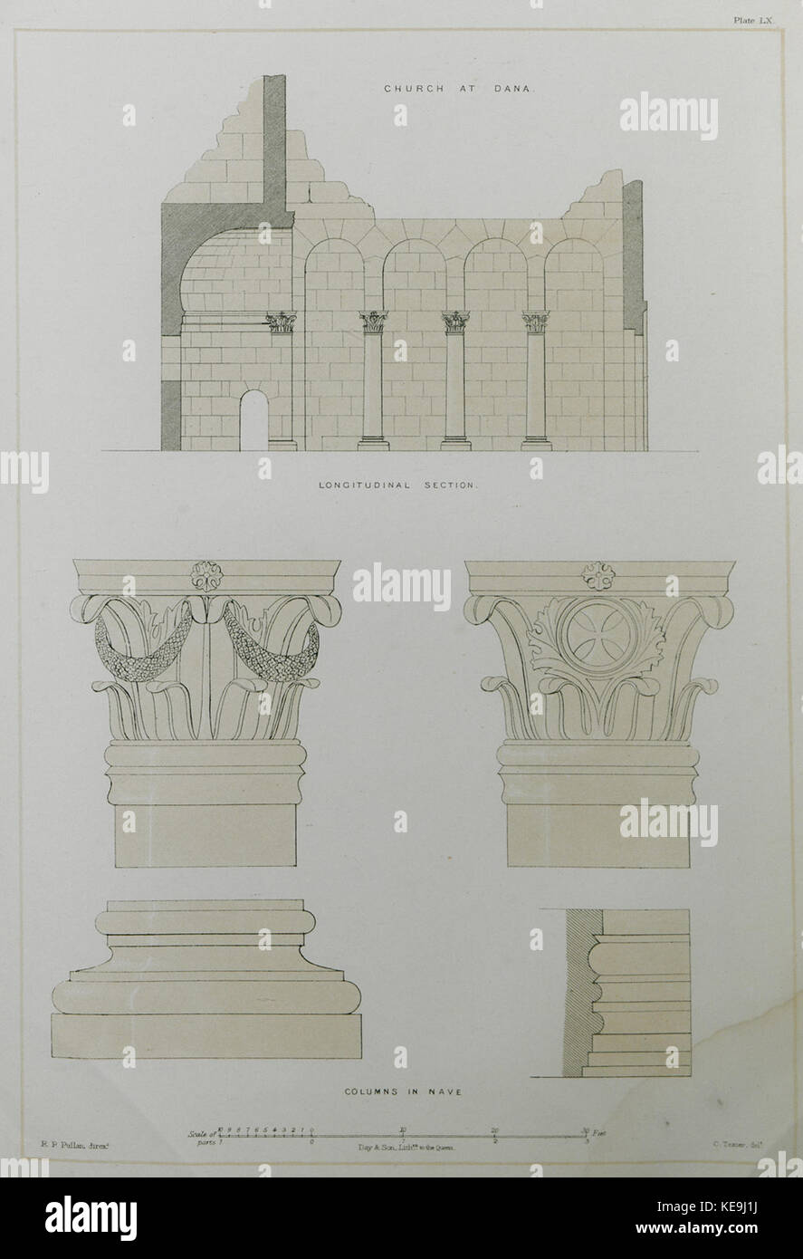 Longitudinal nave hi-res stock photography and images - Alamy