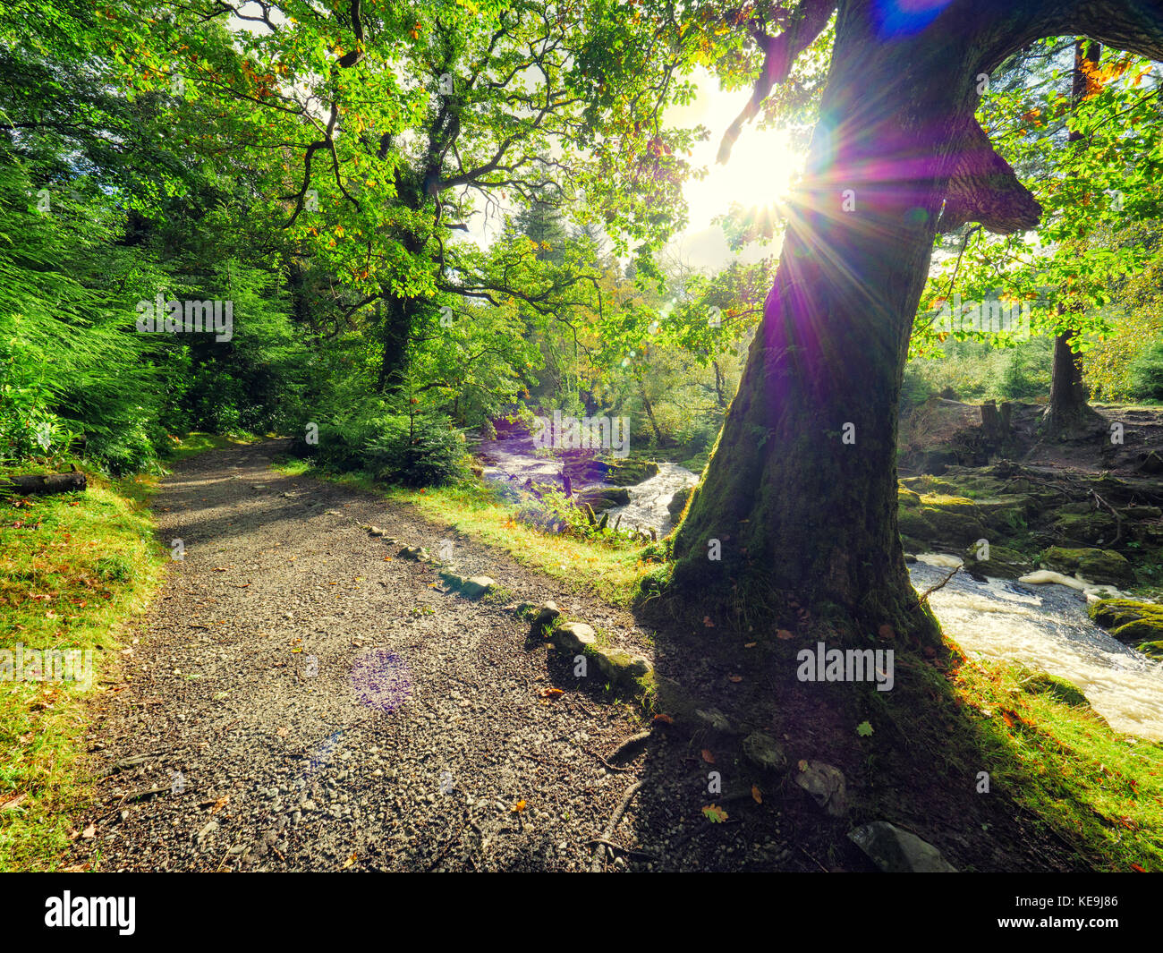 Early Autumn countryside morning,Northern Ireland Stock Photo - Alamy
