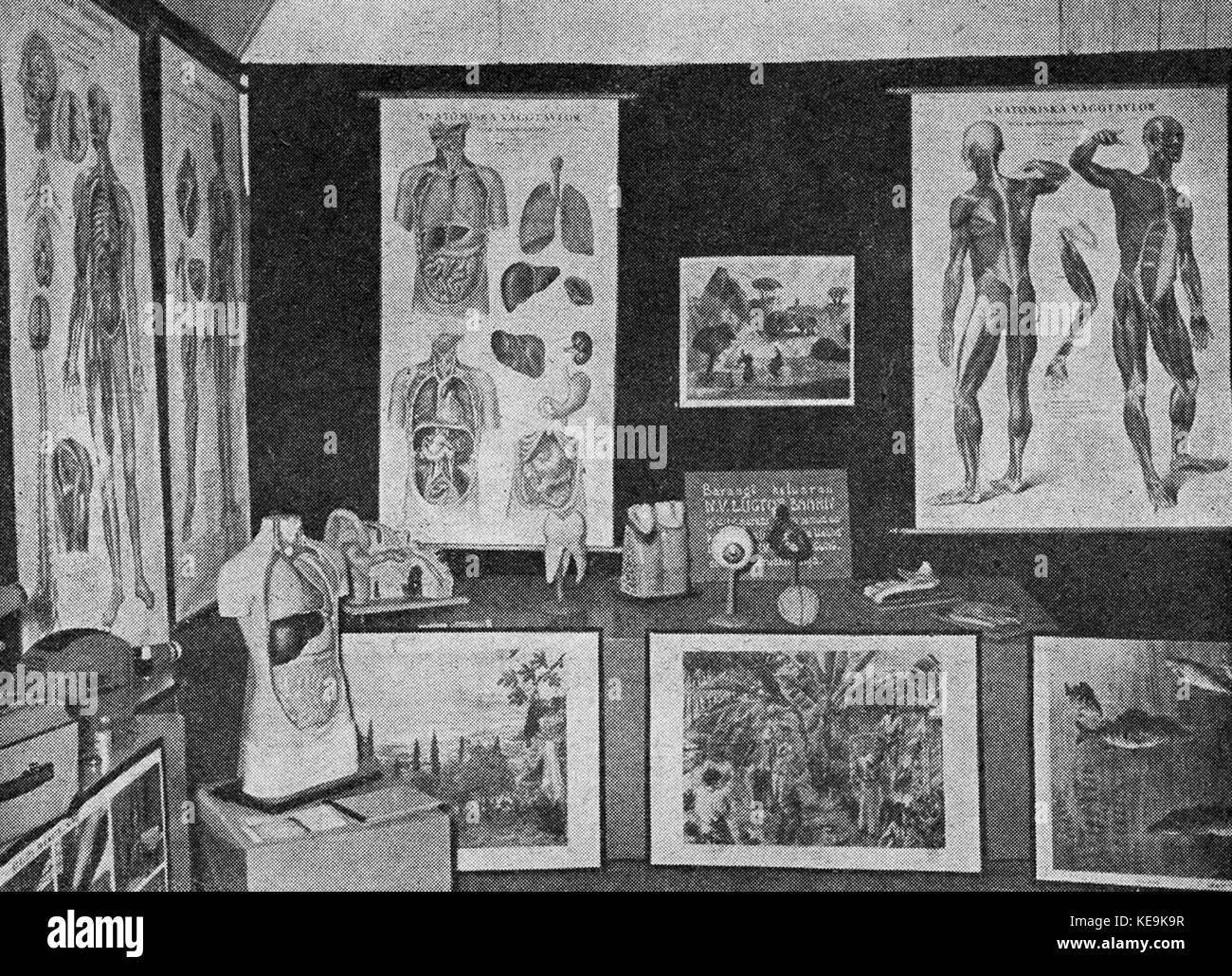 Historic medical display hi-res stock photography and images - Alamy