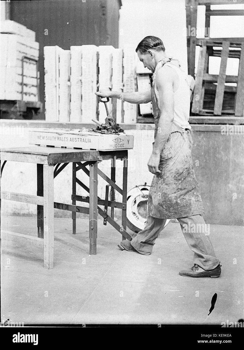 37460 In a rabbit factory Stock Photo - Alamy