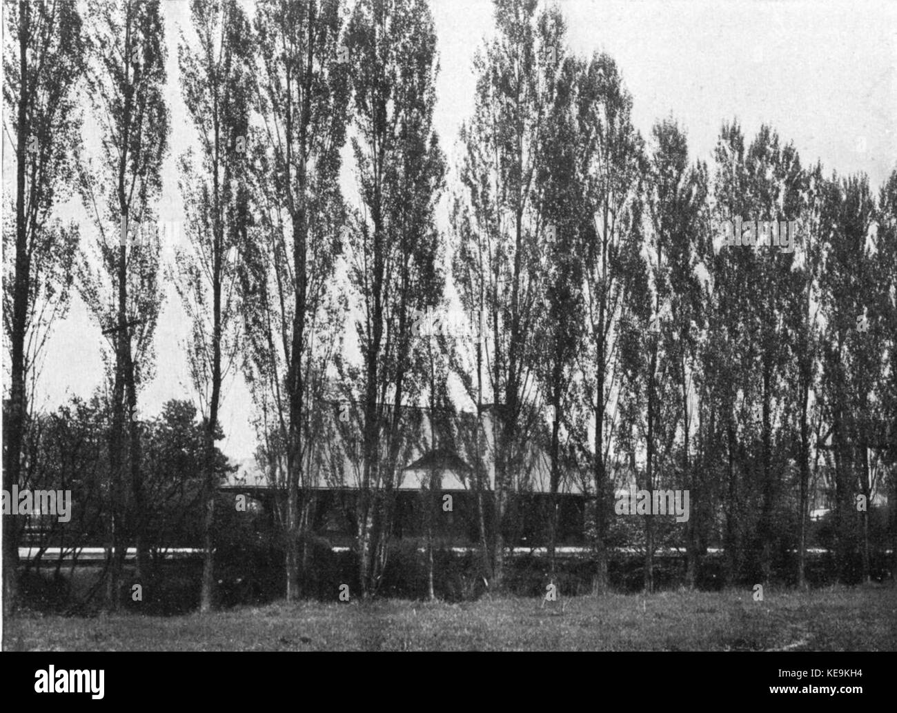 Waban hi-res stock photography and images - Alamy