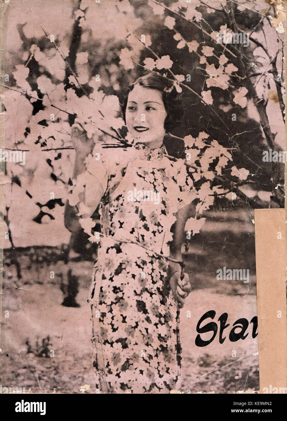 Woman with flower, Star Magazine 2.20 (August 1940), outside front ...