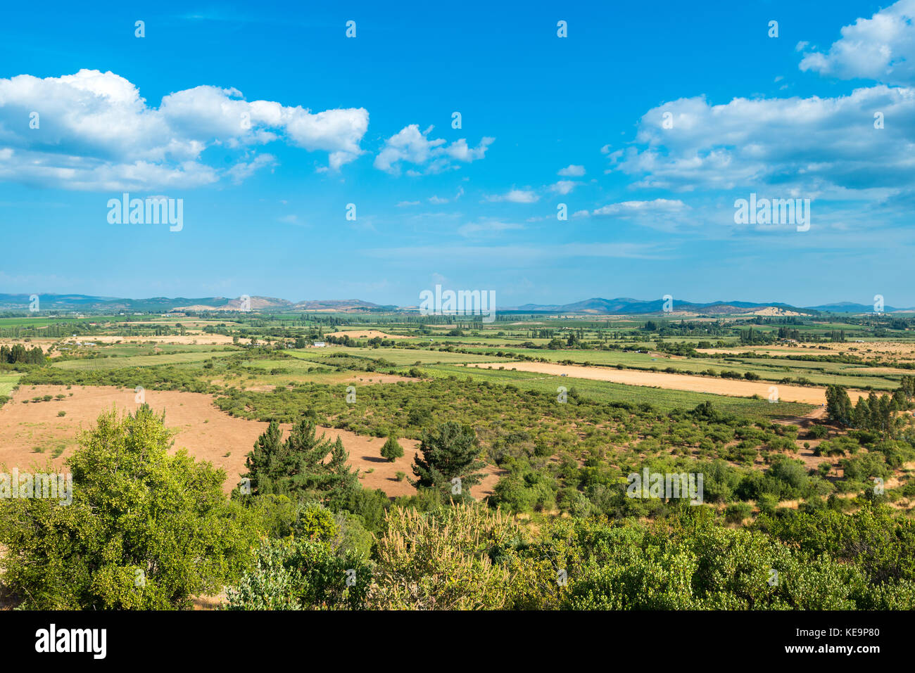 View of the fields at Maule Region at southern Chile Stock Photo - Alamy