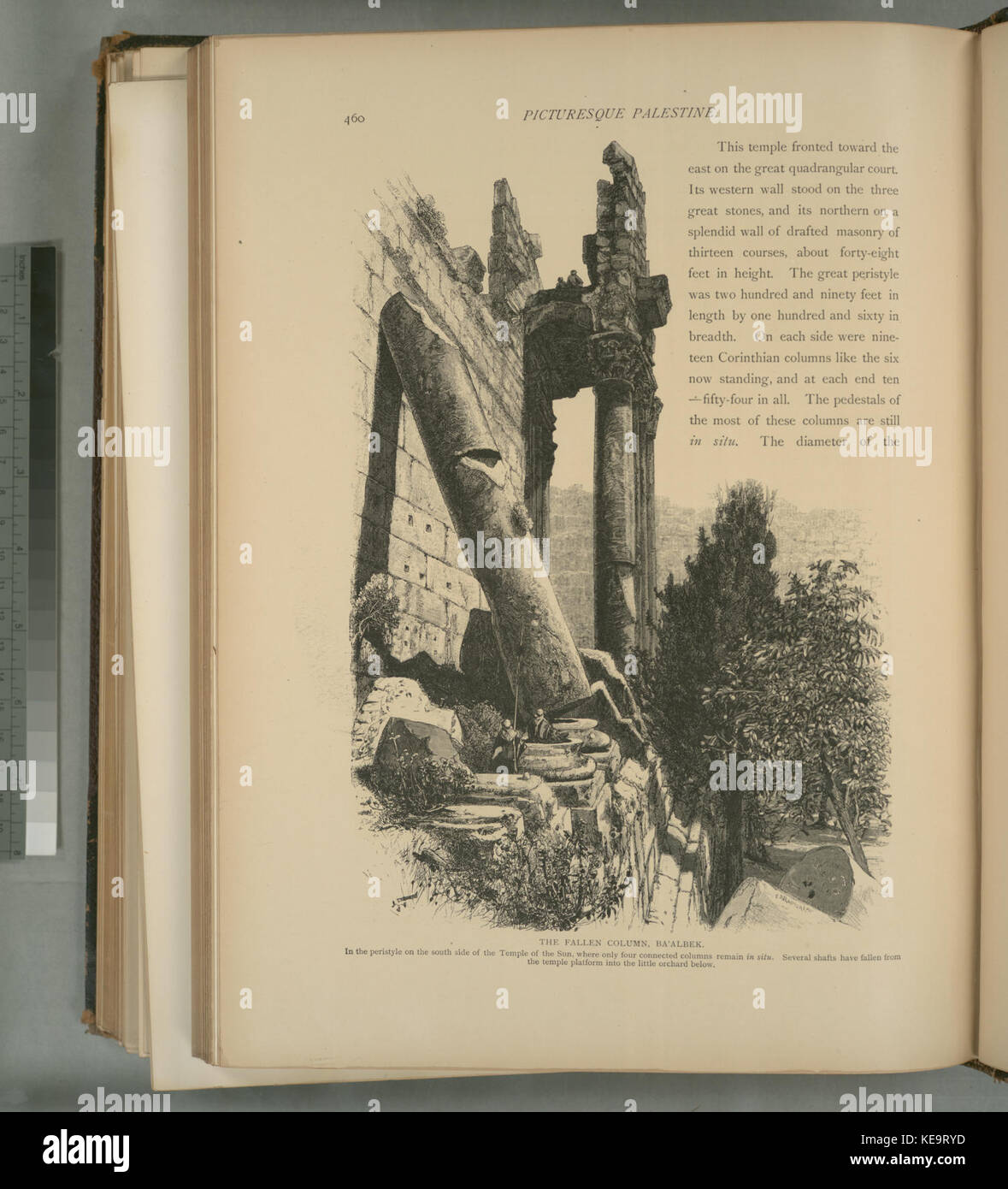 The fallen column, Ba'albek. In the peristyle on the south side of the ...