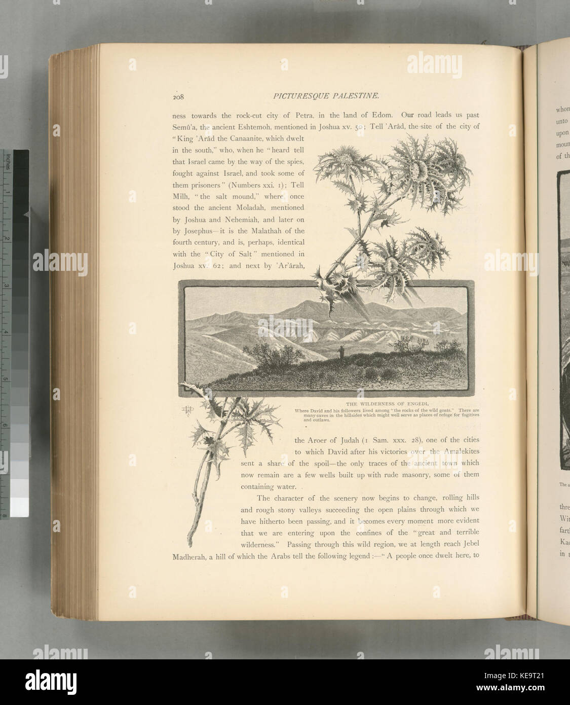 The wilderness of Engedi, where David and his followers lived among the ...