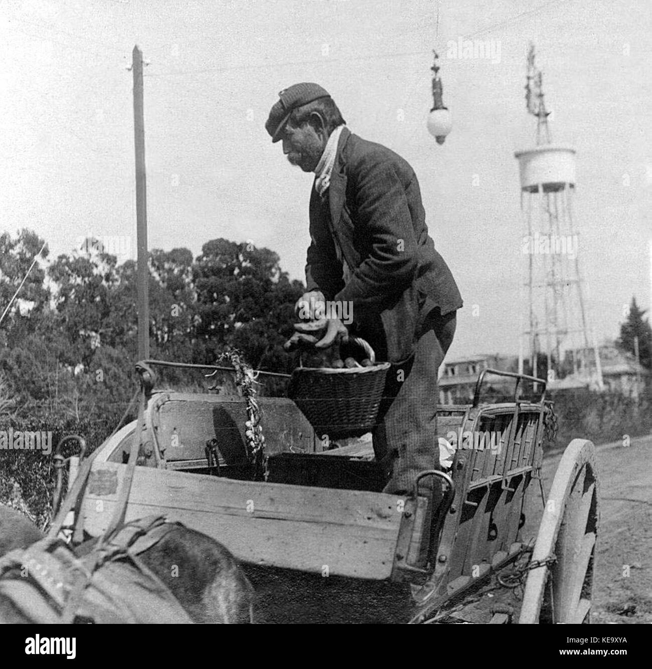 Verdulero quinta anchorena Stock Photo - Alamy