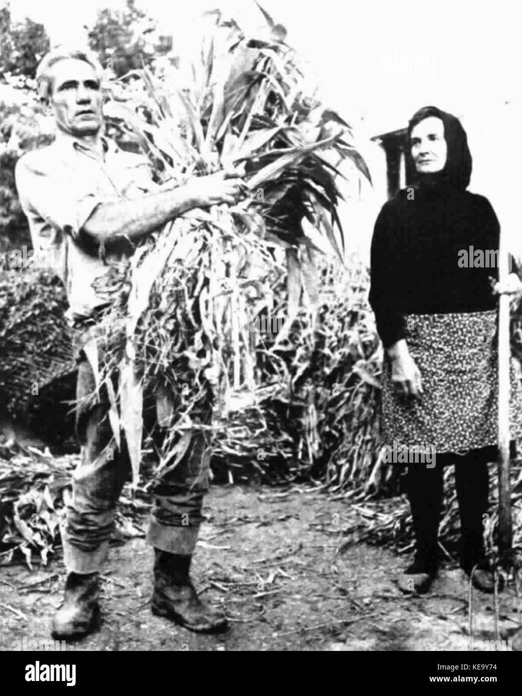 1970s farm workers hi-res stock photography and images - Alamy