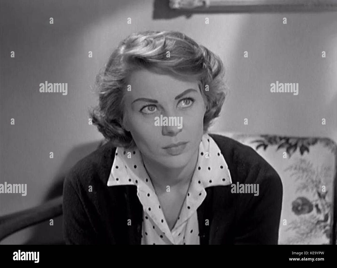 Angiolillo hi-res stock photography and images - Alamy