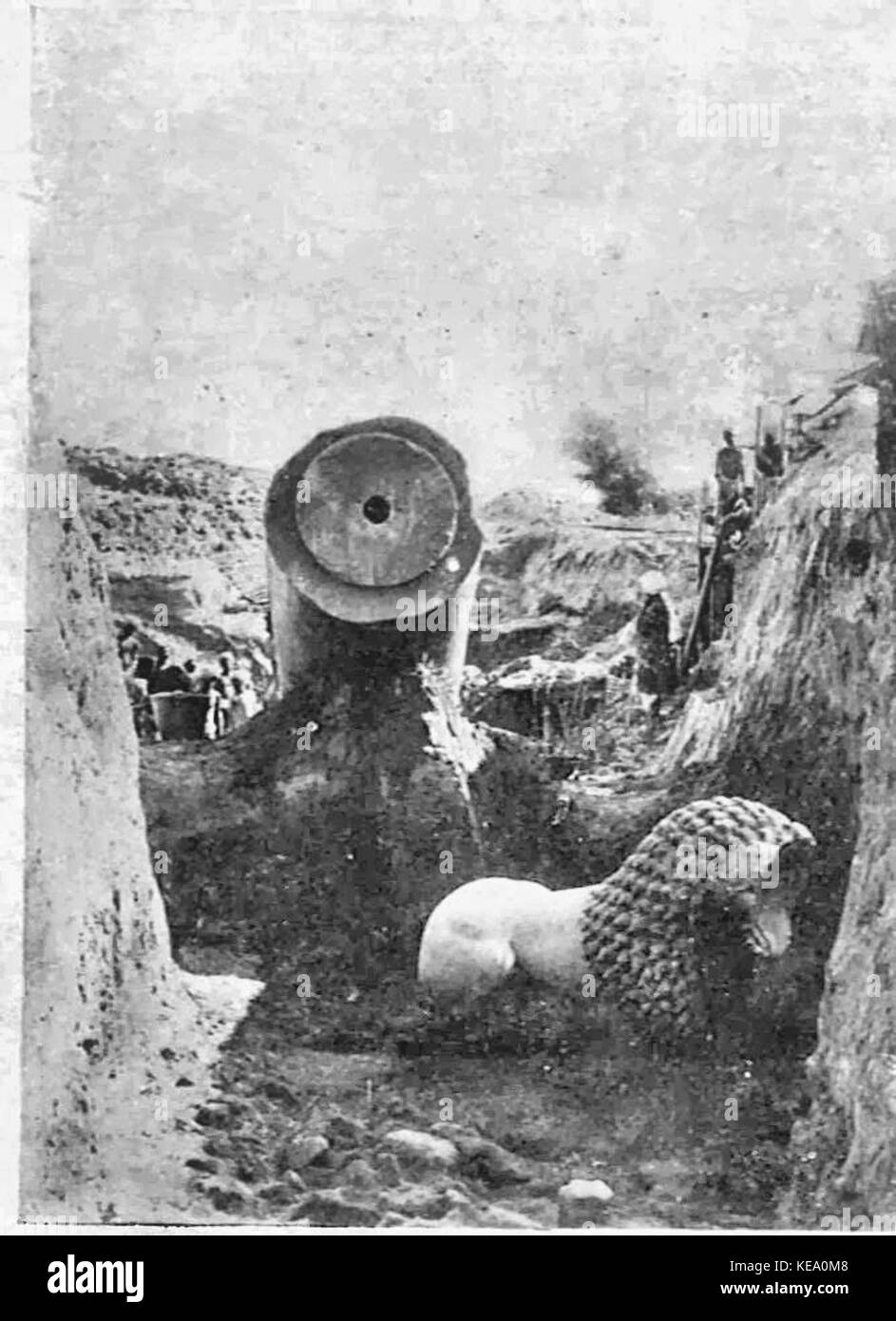 Rampurva lion excavation 1907 Stock Photo - Alamy
