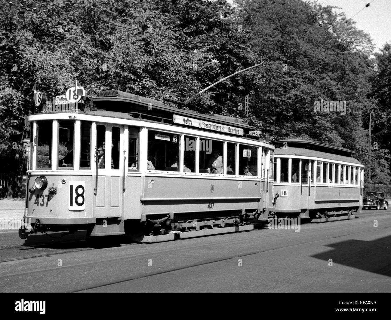 18 line Black and White Stock Photos & Images - Alamy