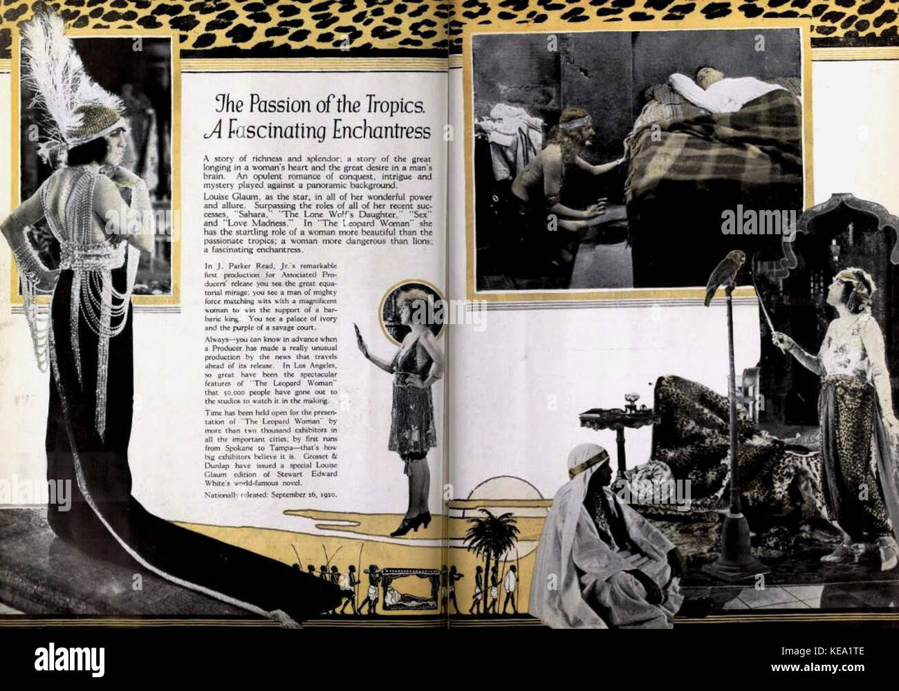 The Leopard Woman (1920) 3 Stock Photo - Alamy