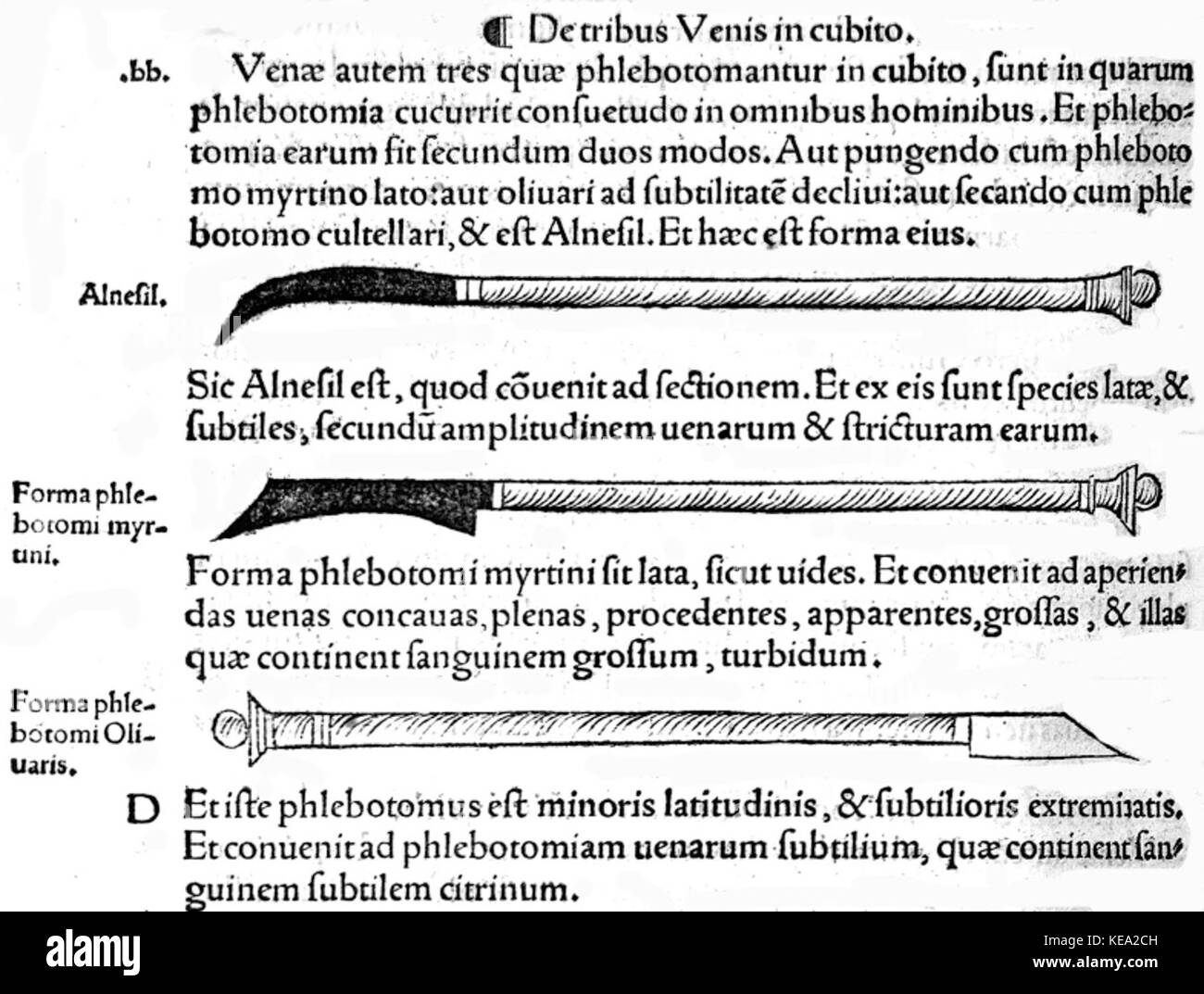 Albucasis Aderlassmesser, a medieval bloodletting tool, is an important ...