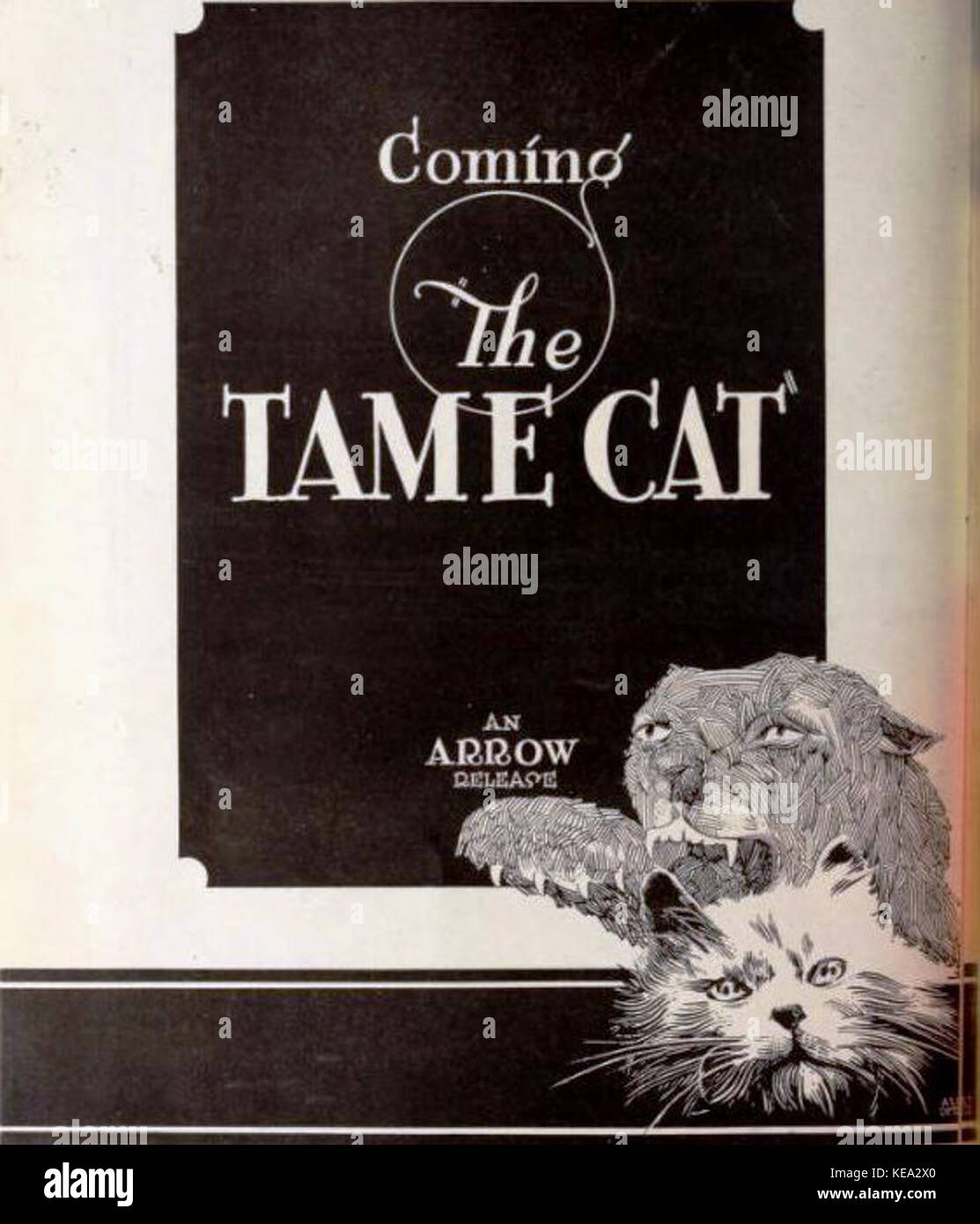 The Tame Cat (1921) 1 Stock Photo - Alamy