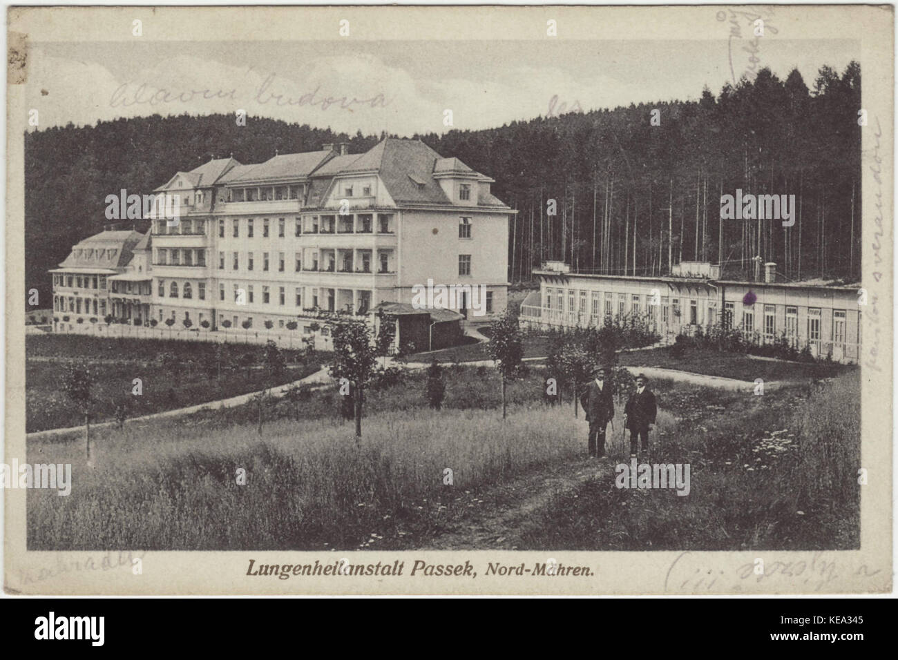 Paseka hi-res stock photography and images - Alamy