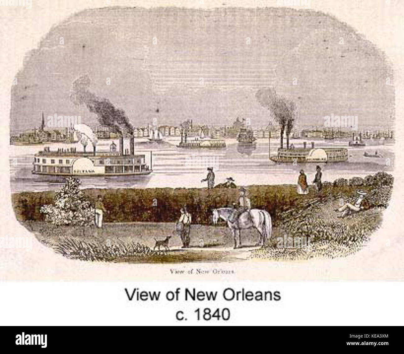 View of New Orleans 1840 Stock Photo - Alamy