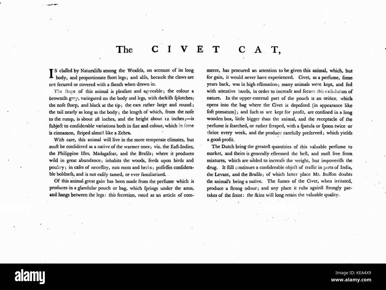 Charles Catton, Animals (1788) Page15 Image1 Stock Photo - Alamy