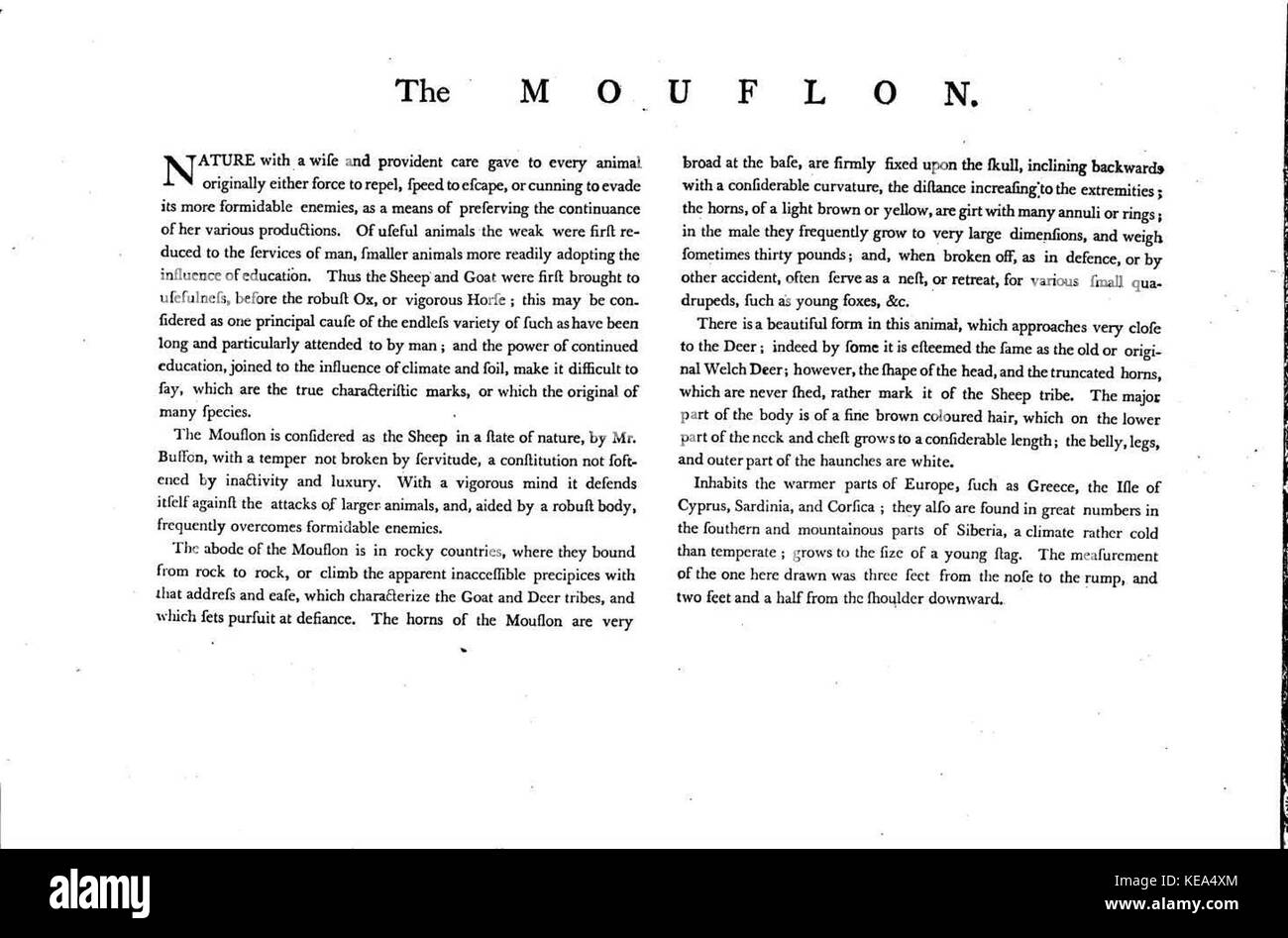 Catton Black and White Stock Photos & Images - Alamy