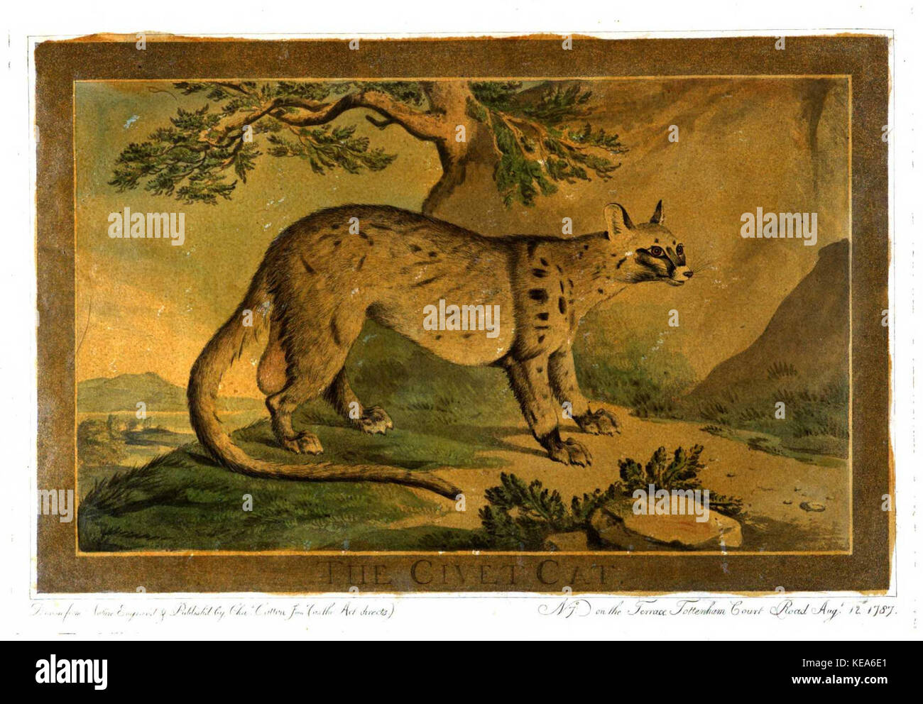 Charles Catton's 1788 work, Animals, offers detailed depictions of ...