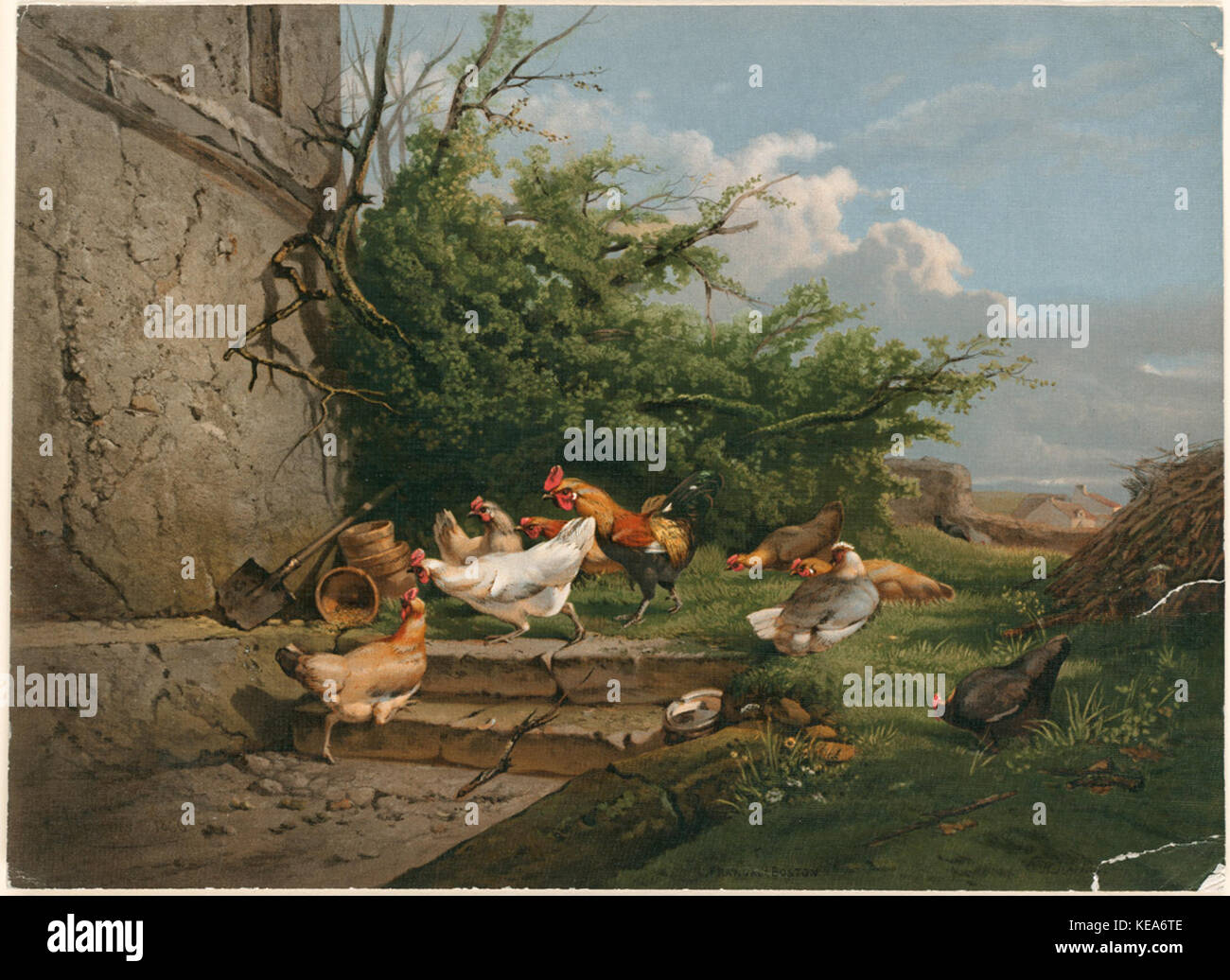 Public library illustration 1800s hi-res stock photography and images ...