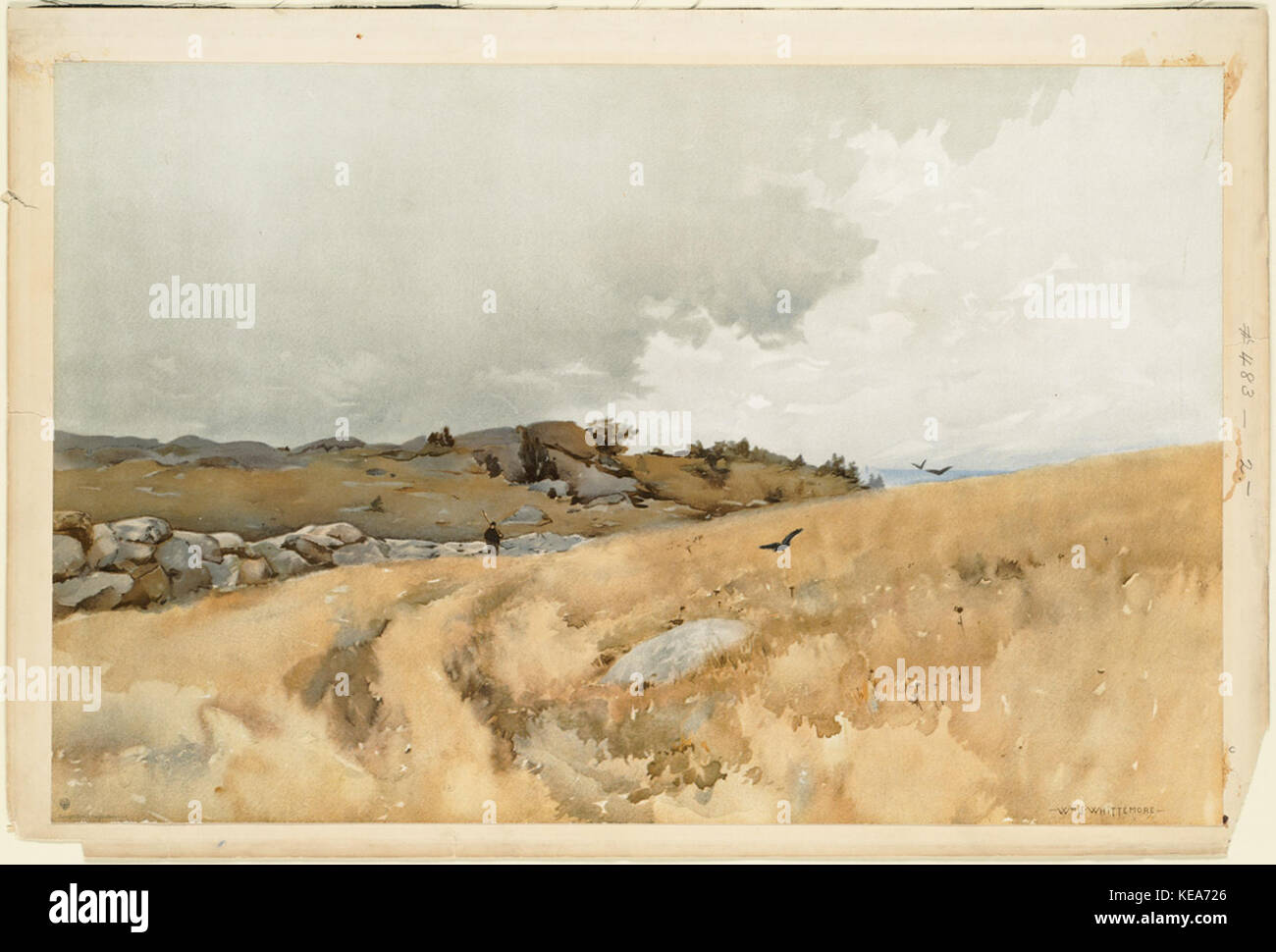 Upland Landscape by Boston Public Library Stock Photo - Alamy