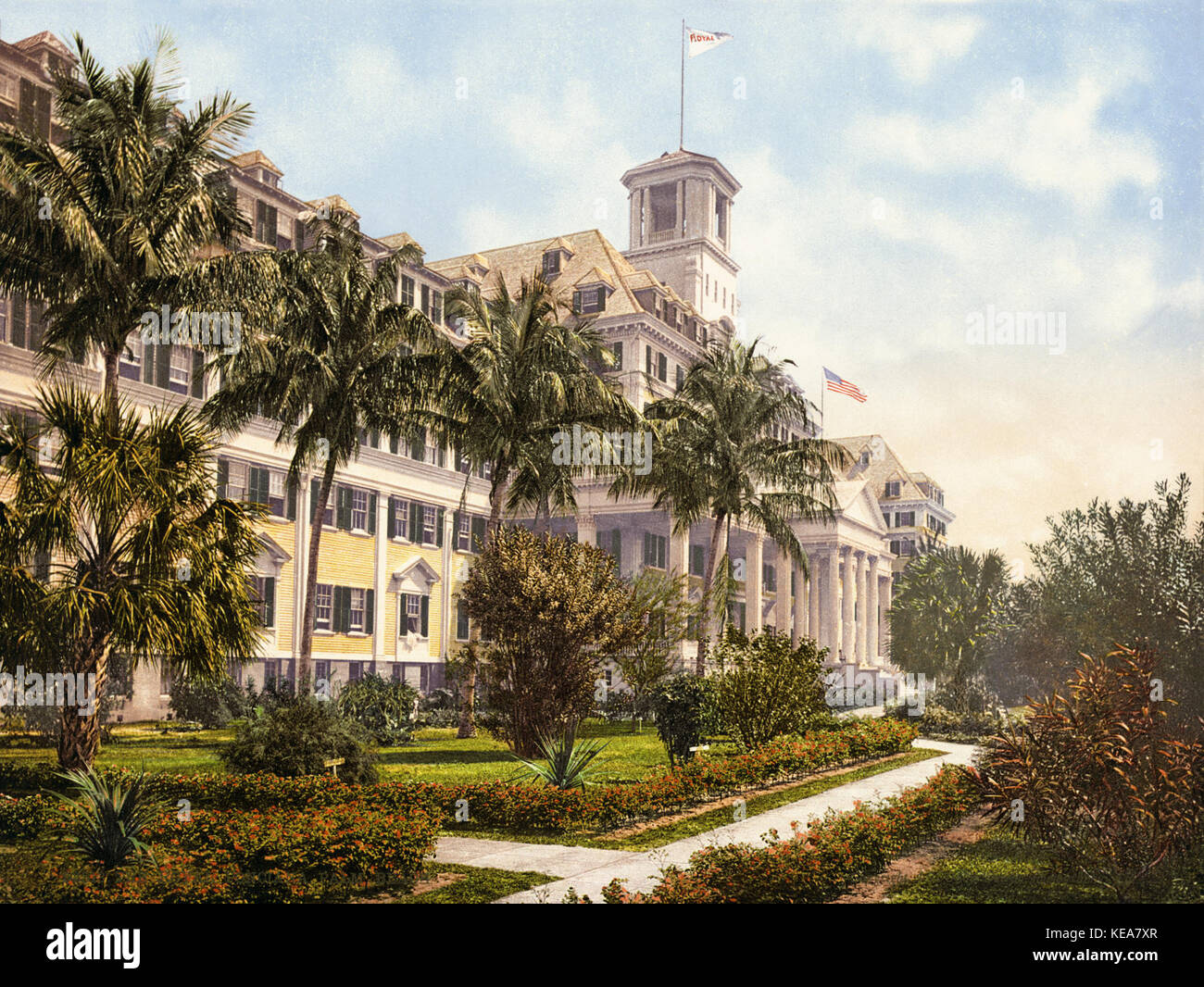 Florida royal poinciana hi-res stock photography and images - Alamy